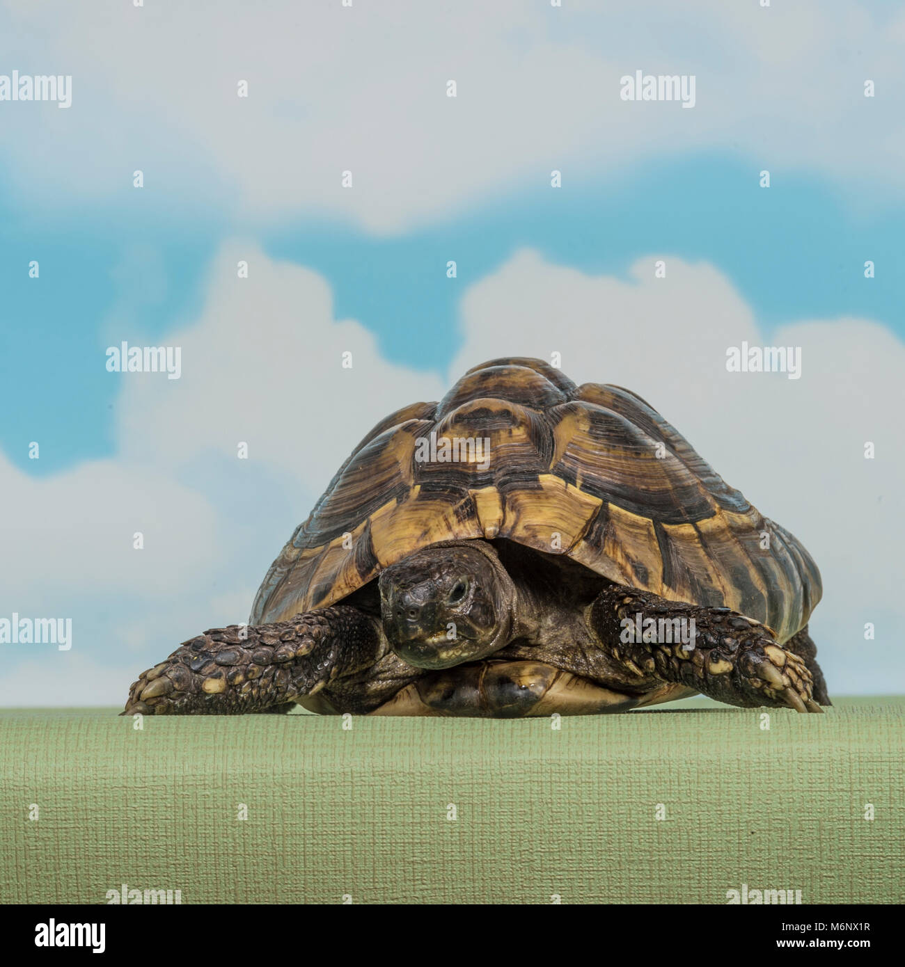 Studio space hi-res stock photography and images - Alamy