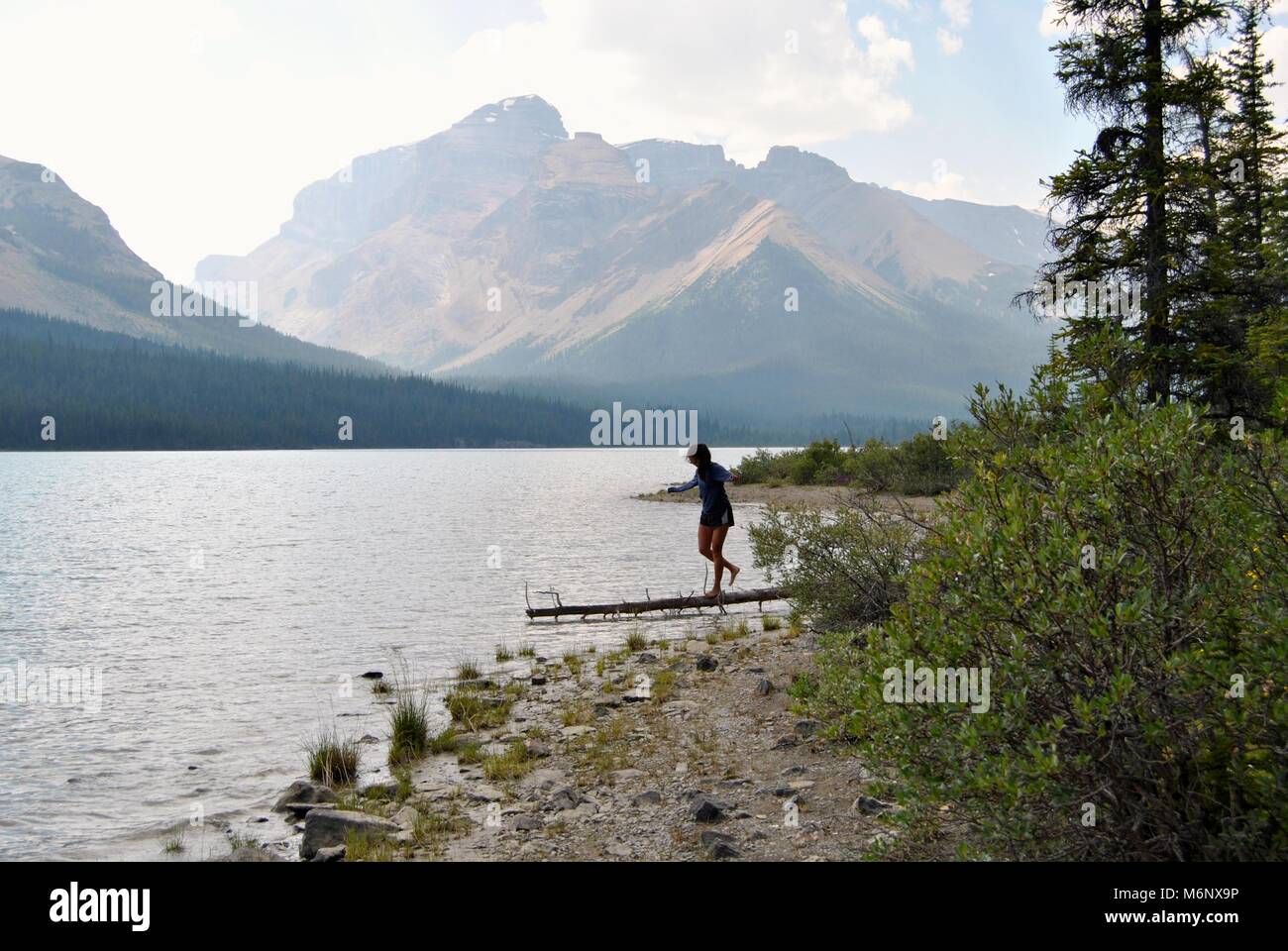 Jasper canada landscape forest hi-res stock photography and images - Alamy