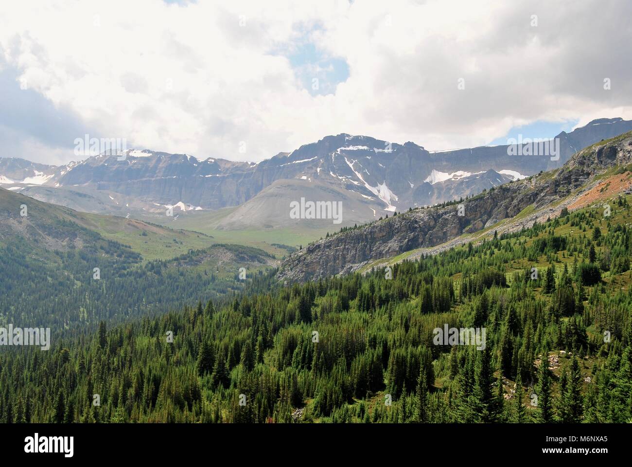 Jasper trees hi-res stock photography and images - Alamy