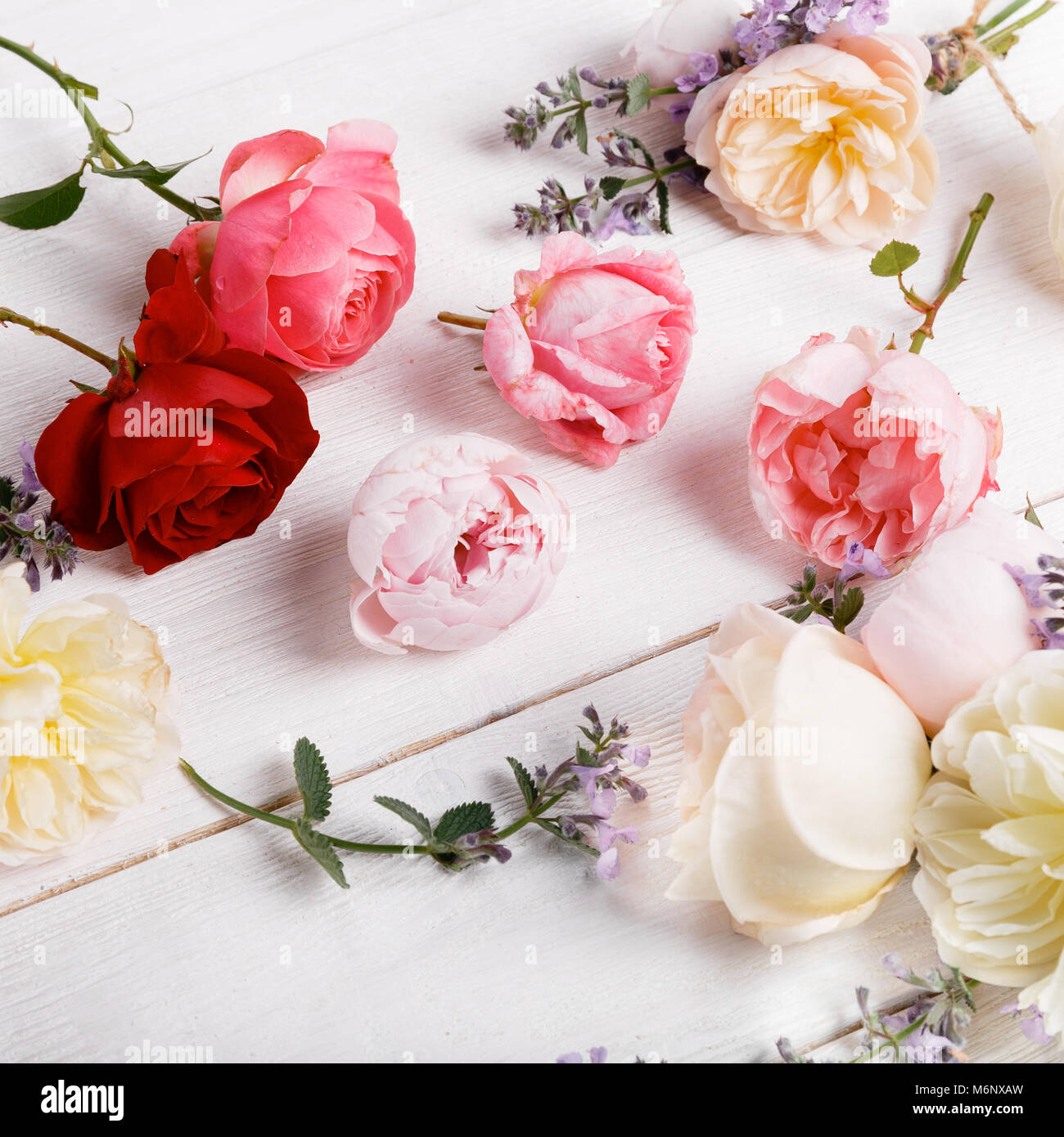 Festive flower English rose composition on the white background ...