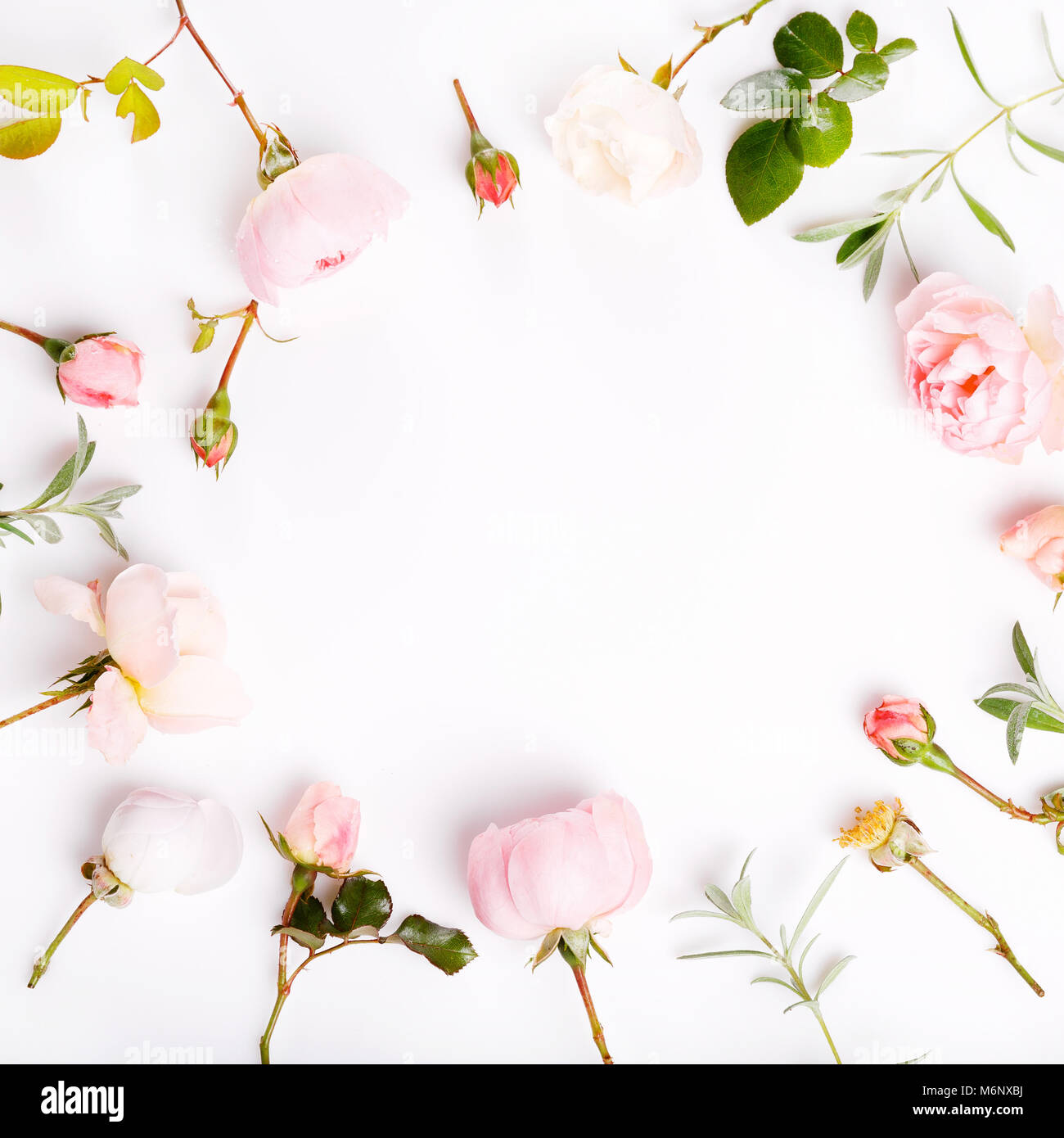 Festive flower English rose composition on the white background ...