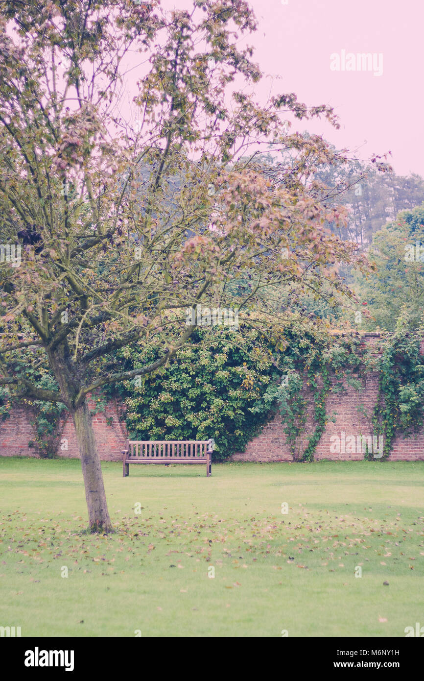 Quiet bench in secret garden Stock Photo - Alamy