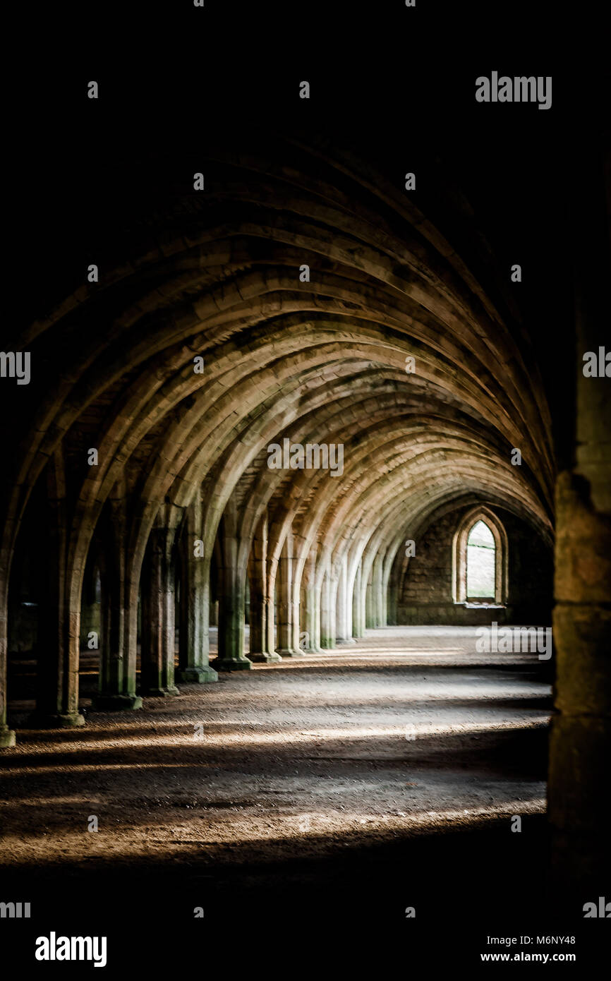 A different perspective on the cellar arches of Fountains Abbey Stock ...