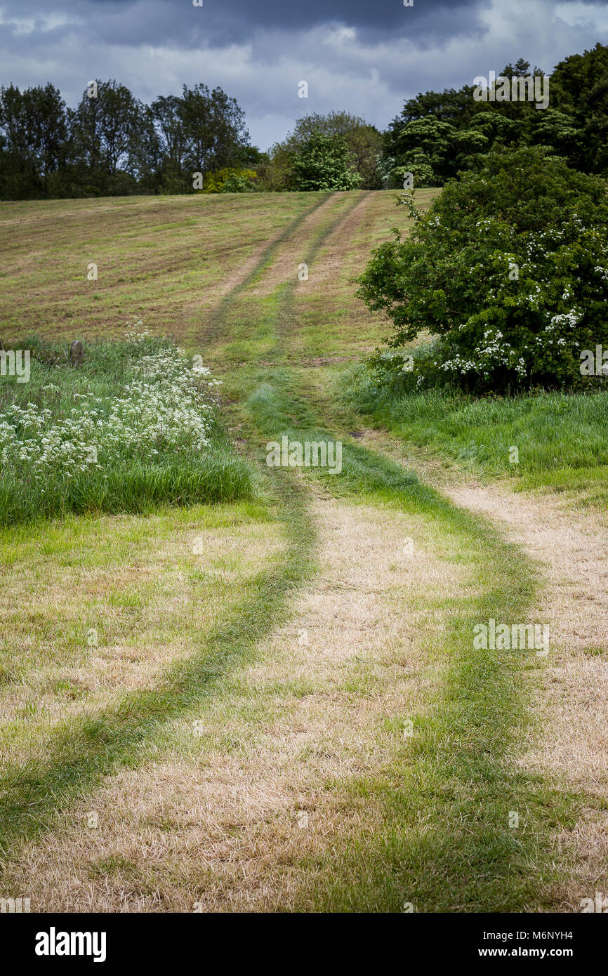 Farm Tracks High Resolution Stock Photography and Images - Alamy