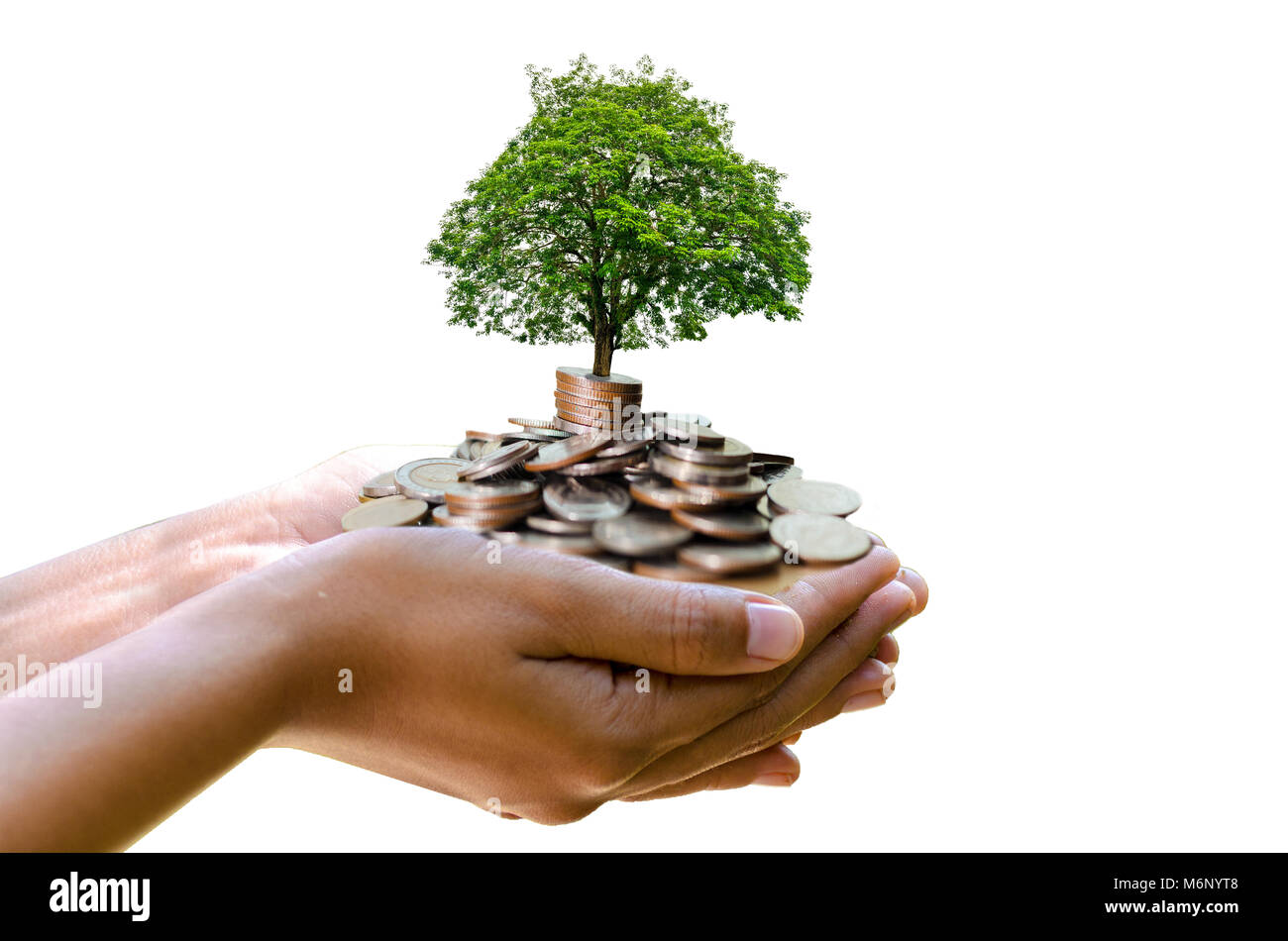 hand tree Coin Isolate hand Coin tree The tree grows on the pile ...