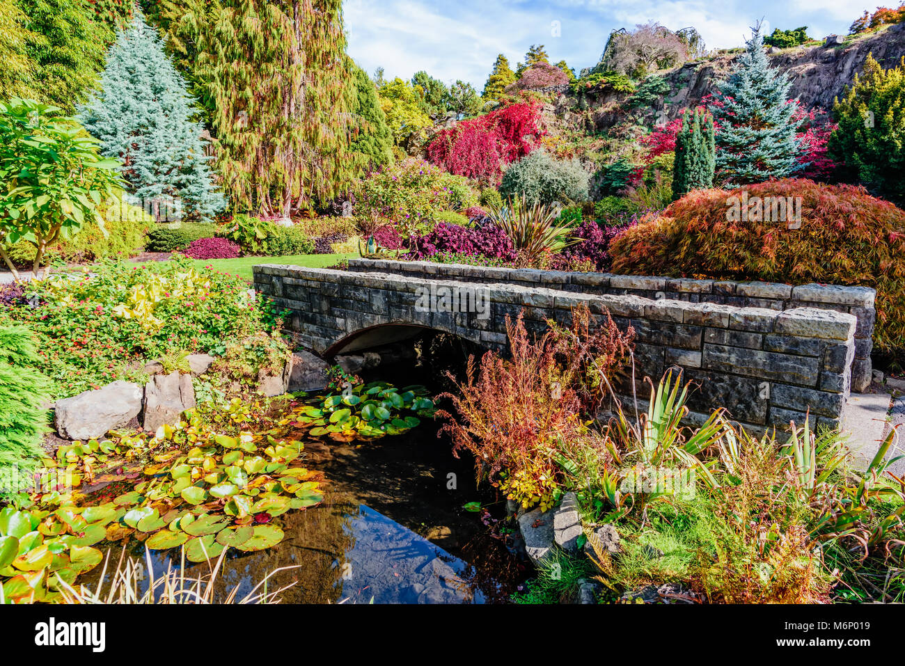 Stone bridge across the river in a botanical garden with a variety of ...