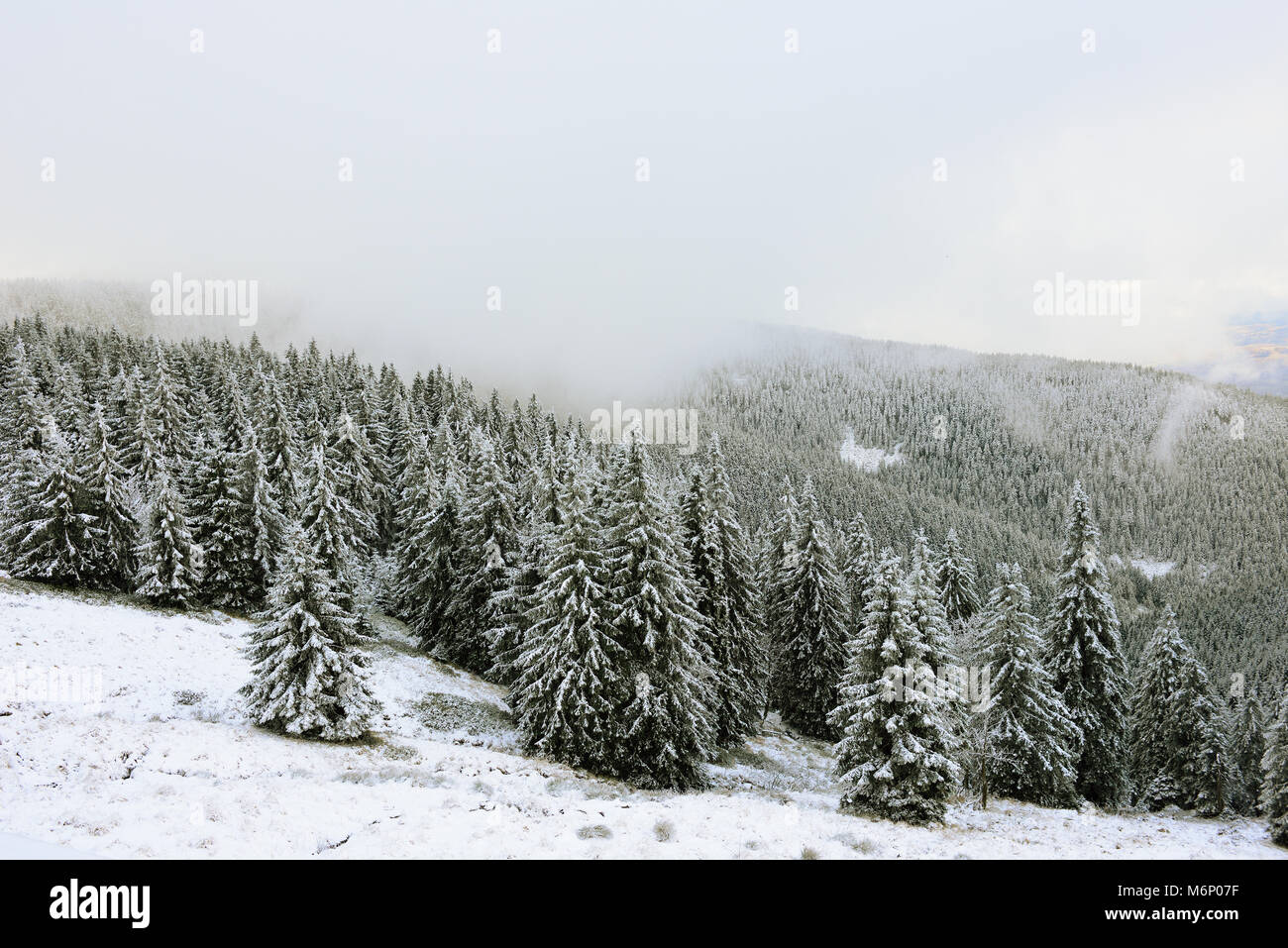 Winter time in the mountains hi-res stock photography and images - Alamy