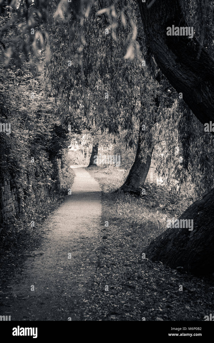 Canal tow path Stock Photo - Alamy