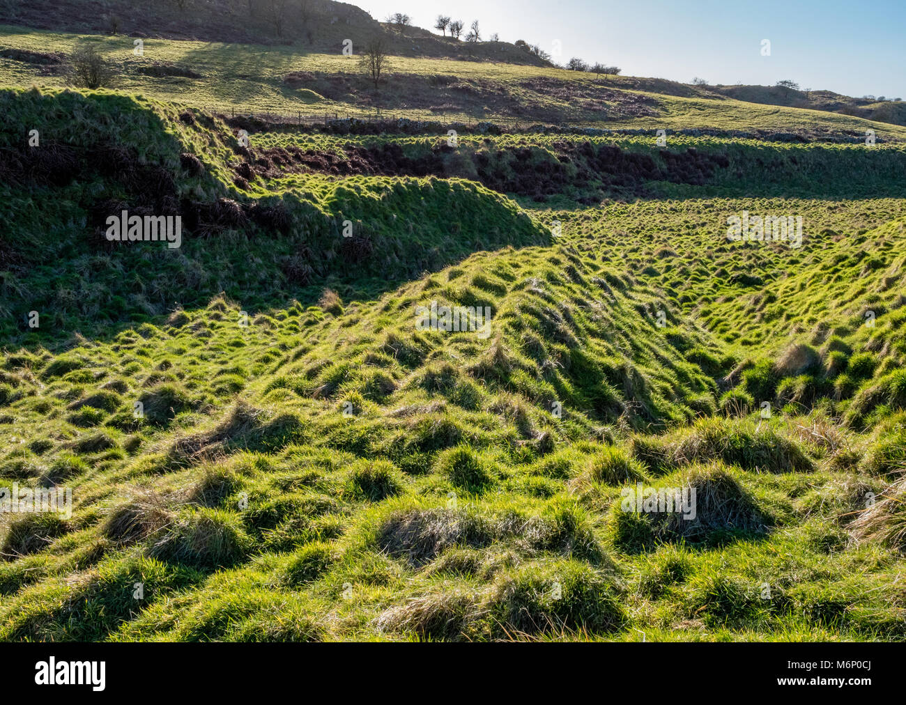 Gruffy ground hi-res stock photography and images - Alamy