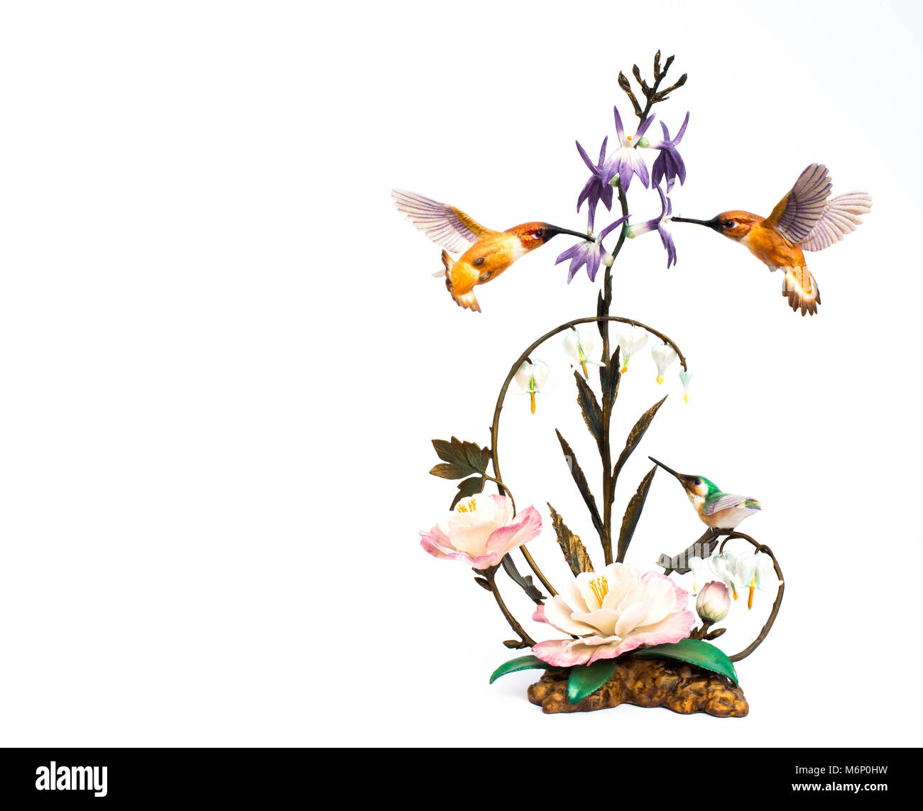 Beautiful flying humming bird Cut Out Stock Images & Pictures - Alamy