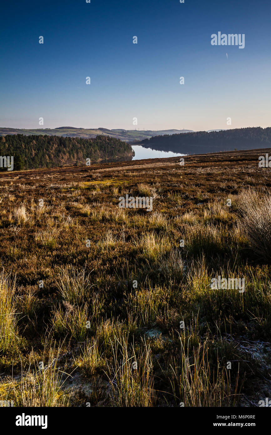 Across the moors to the calm waters of Langsett Reservoir Stock Photo ...