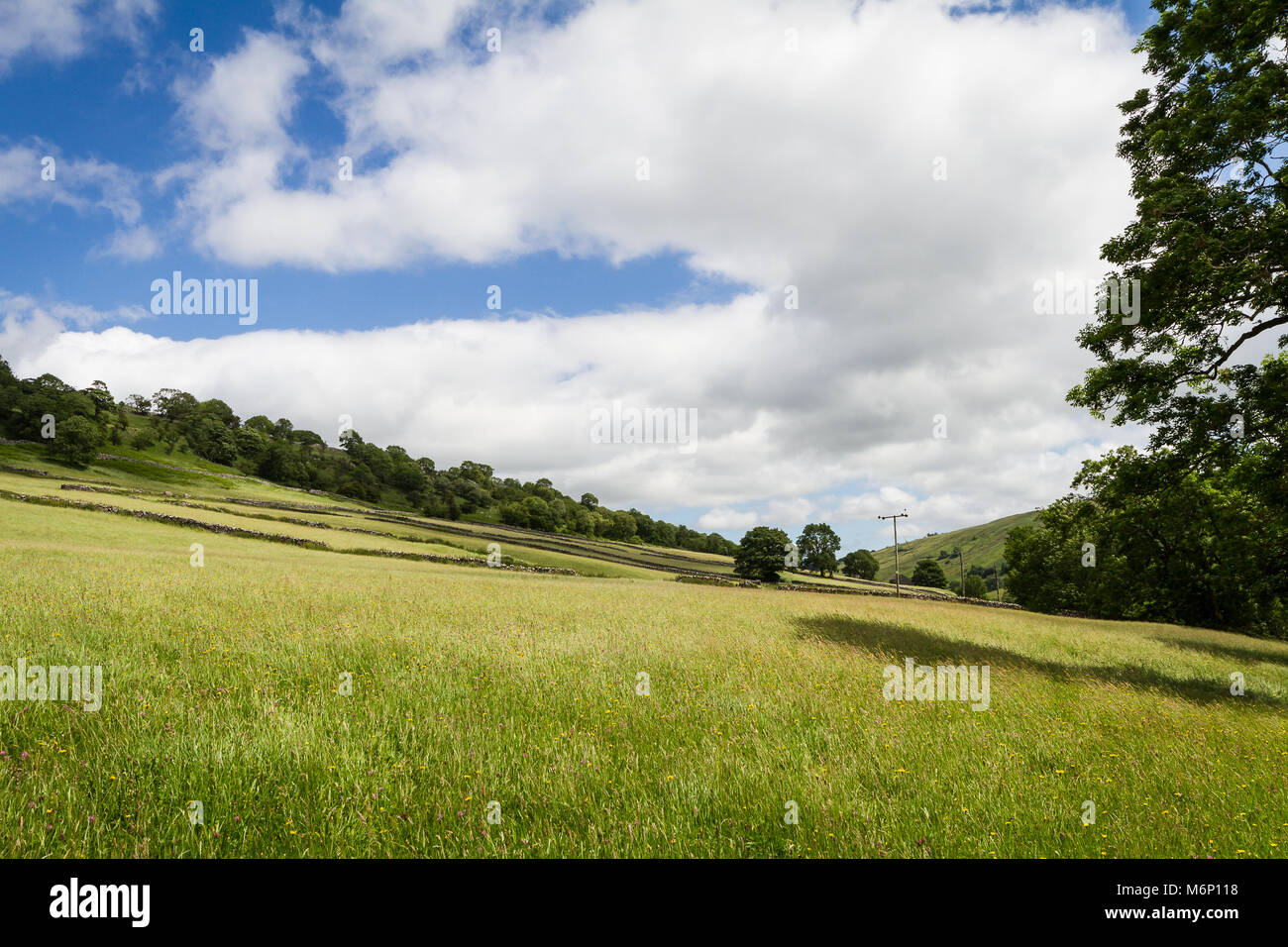 Beautiful summer meadows of Langstrothdale Stock Photo - Alamy