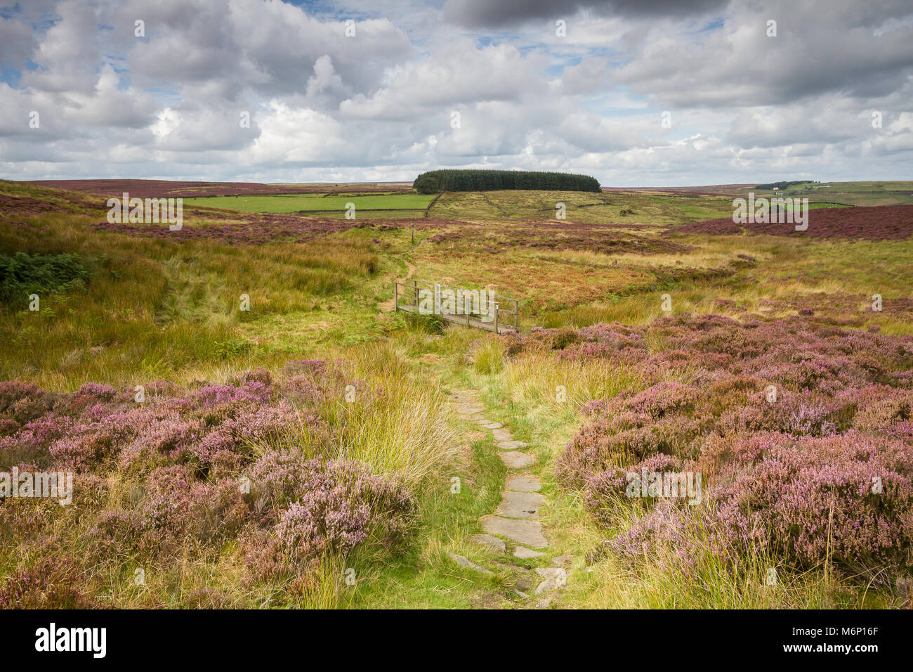 Howarth moor yorkshire hi-res stock photography and images - Alamy