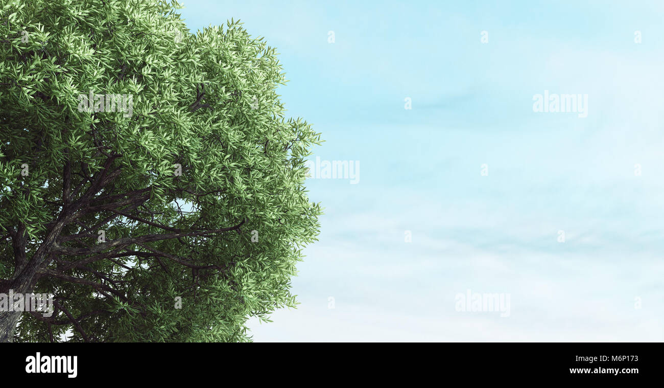 Render green tree hi-res stock photography and images - Alamy