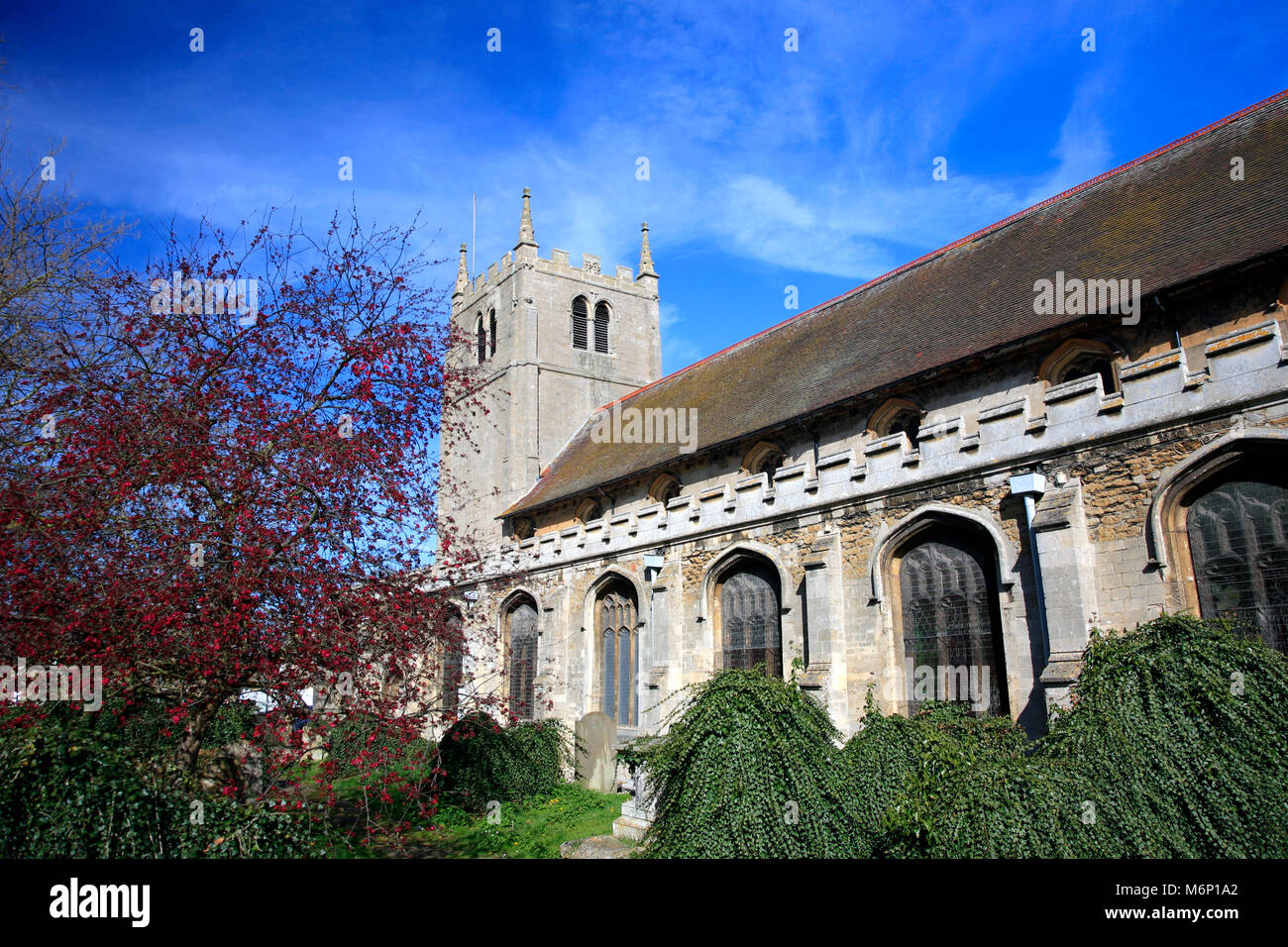St Thomas a Becket church, Ramsey town, Cambridgeshire, England, UK ...