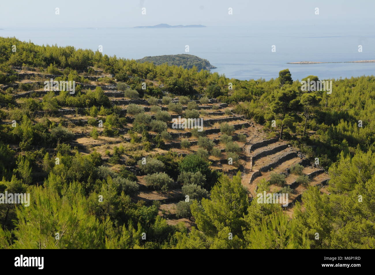 Landscape of the Korcula island with Lastovo island at the background ...