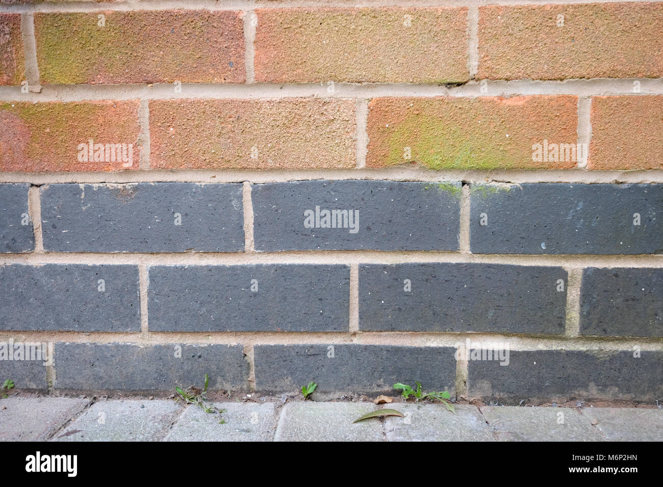 damp course on a house Stock Photo - Alamy