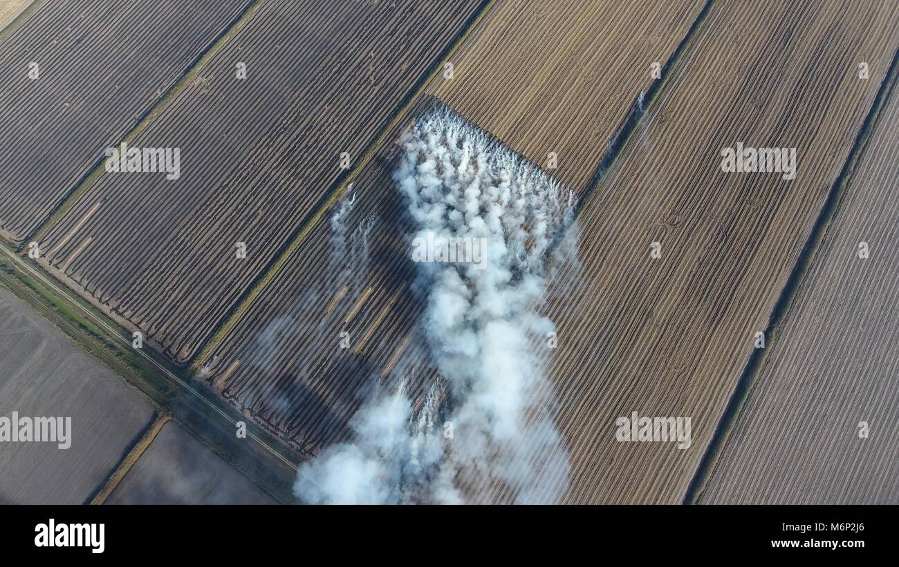 The burning of rice straw in the fields. Smoke from the burning of rice ...