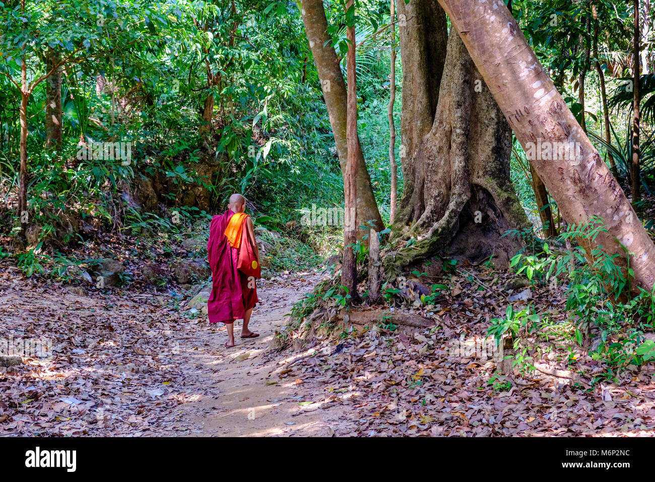 Monk rock hi-res stock photography and images - Alamy