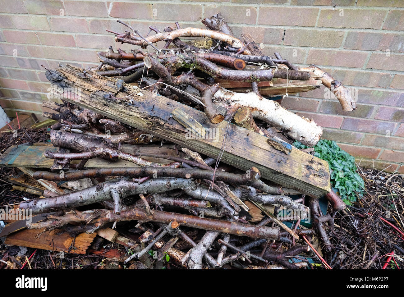 wood and branches stacked up in the garden Stock Photo - Alamy