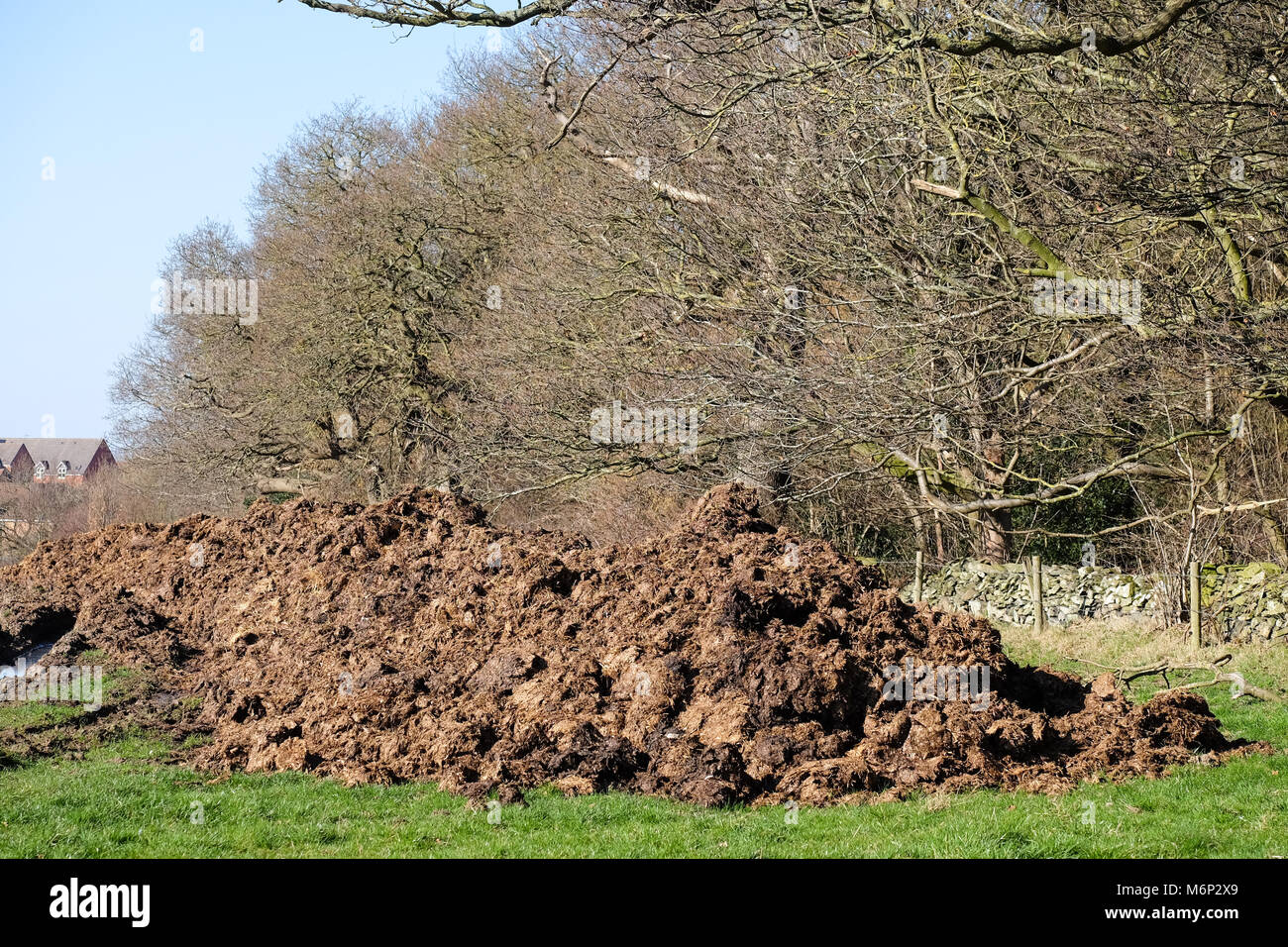 Manure farm hi-res stock photography and images - Alamy