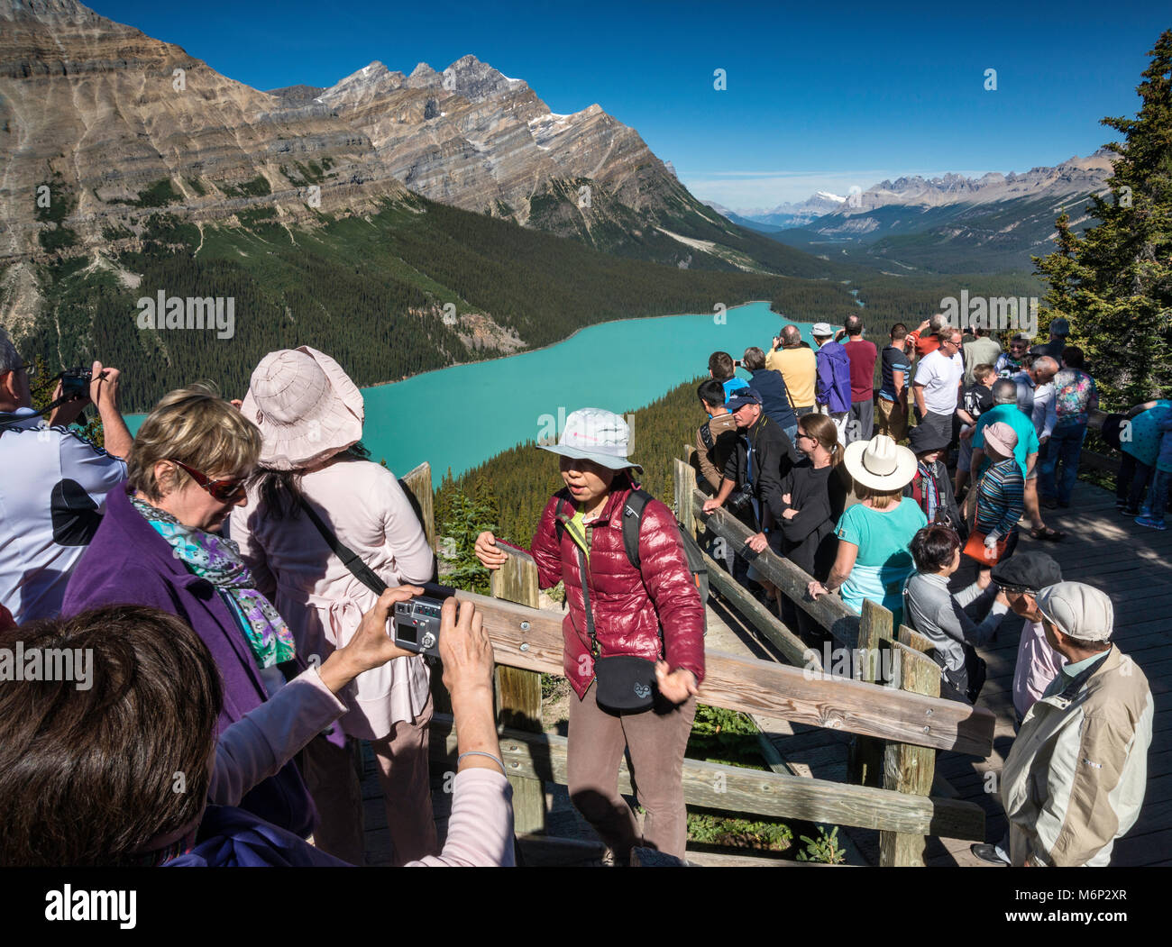Crowd of tourists at Peyto Lake Viewpoint, The Icefields Parkway ...