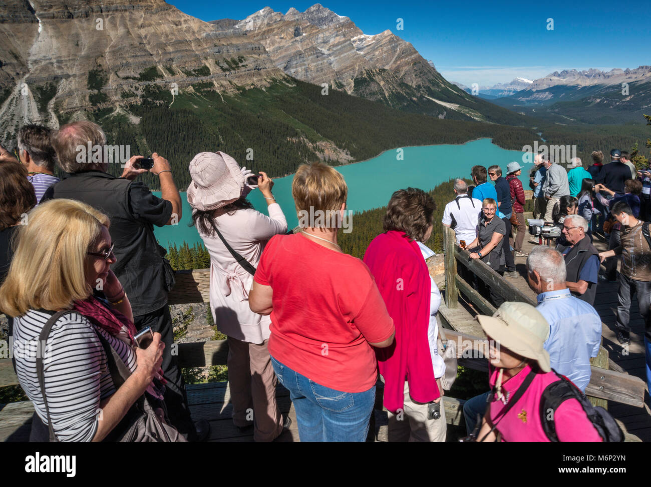 Crowd of tourists at Peyto Lake Viewpoint, The Icefields Parkway ...