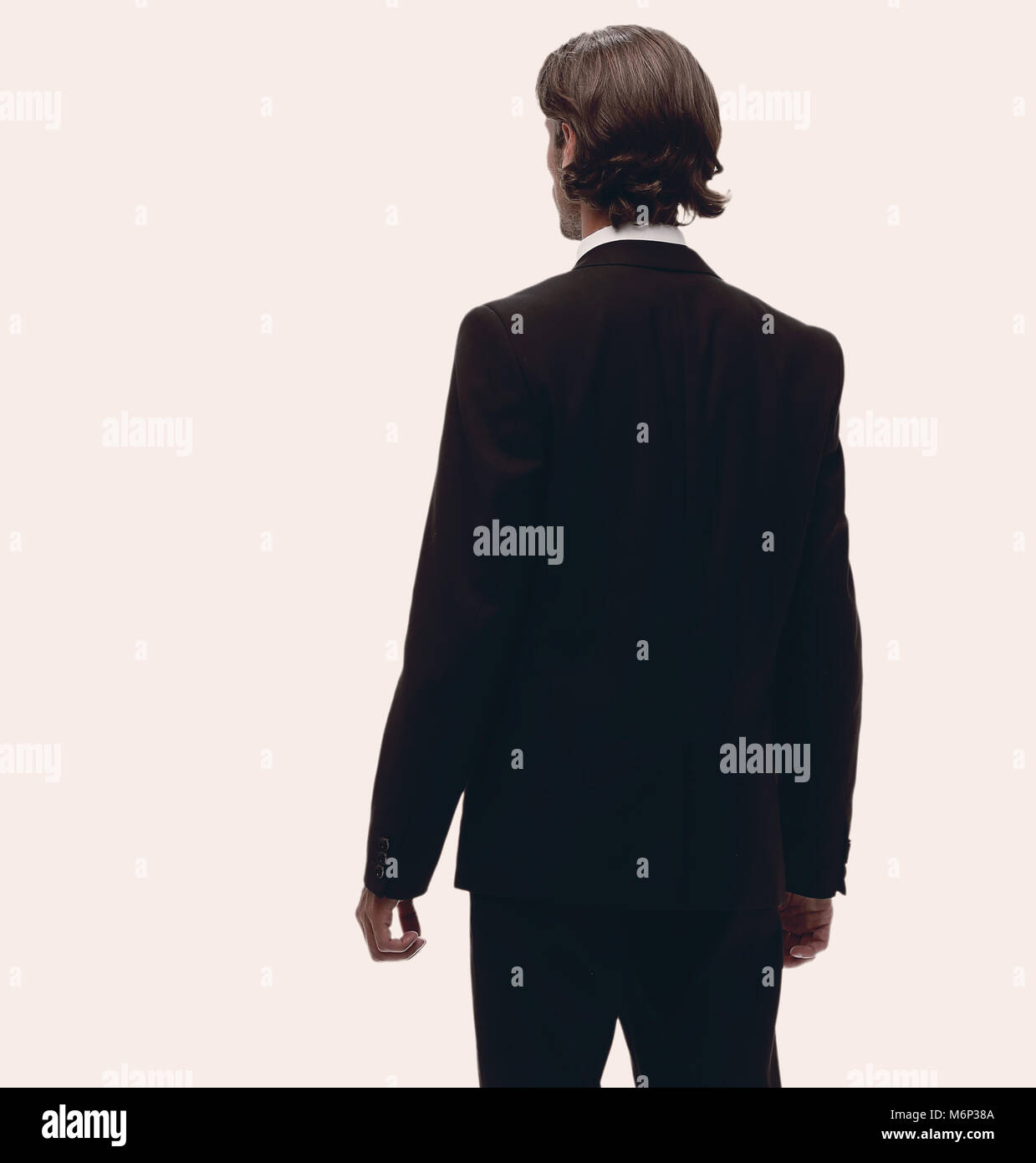 rear view.a modern businessman Stock Photo - Alamy