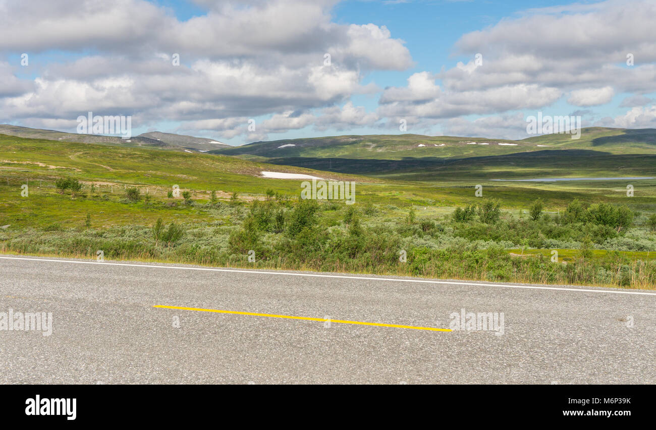 The characteristic landscape of the Arctic tundra. Low trees, shrubs ...