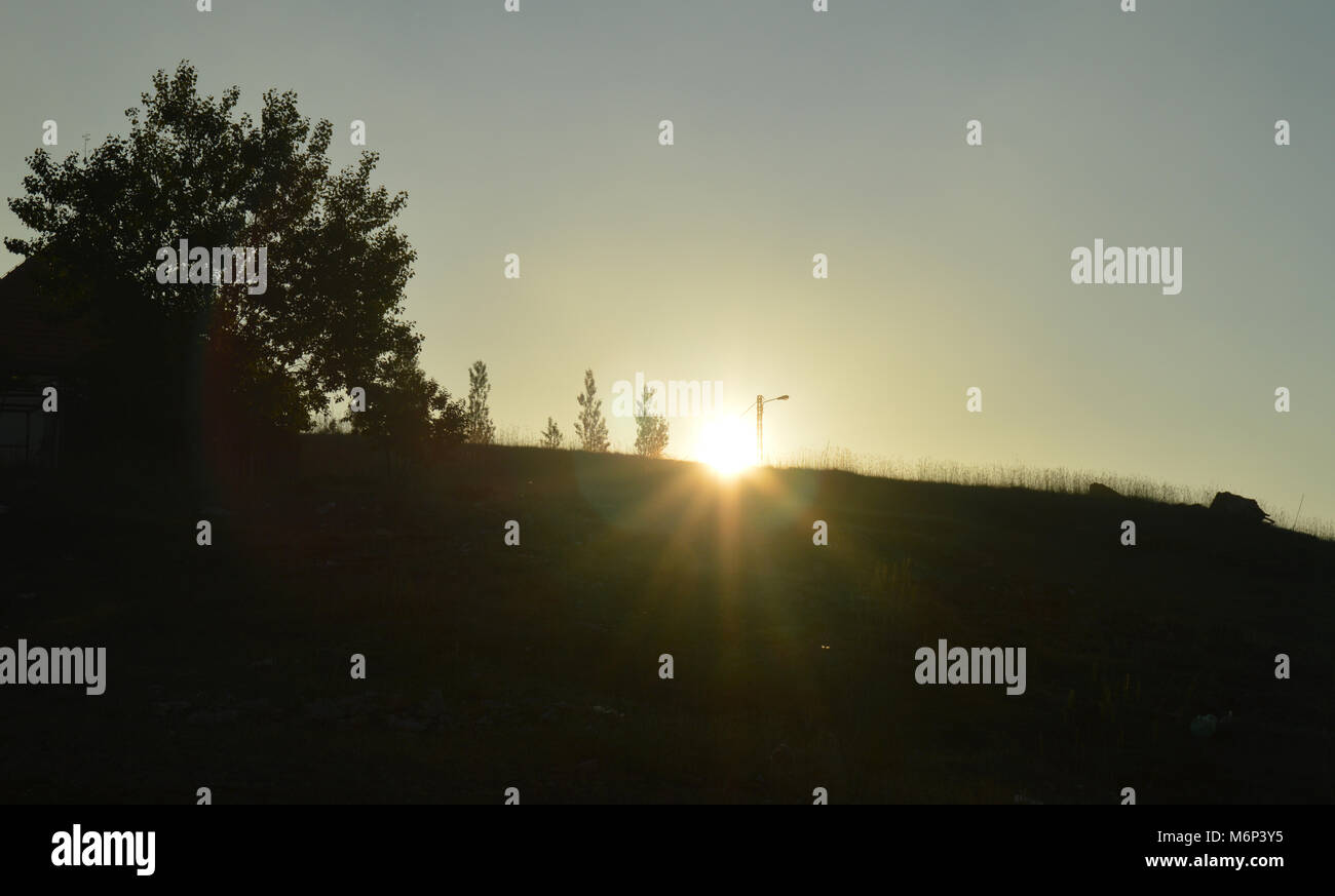 Sunshine behind trees hi-res stock photography and images - Alamy