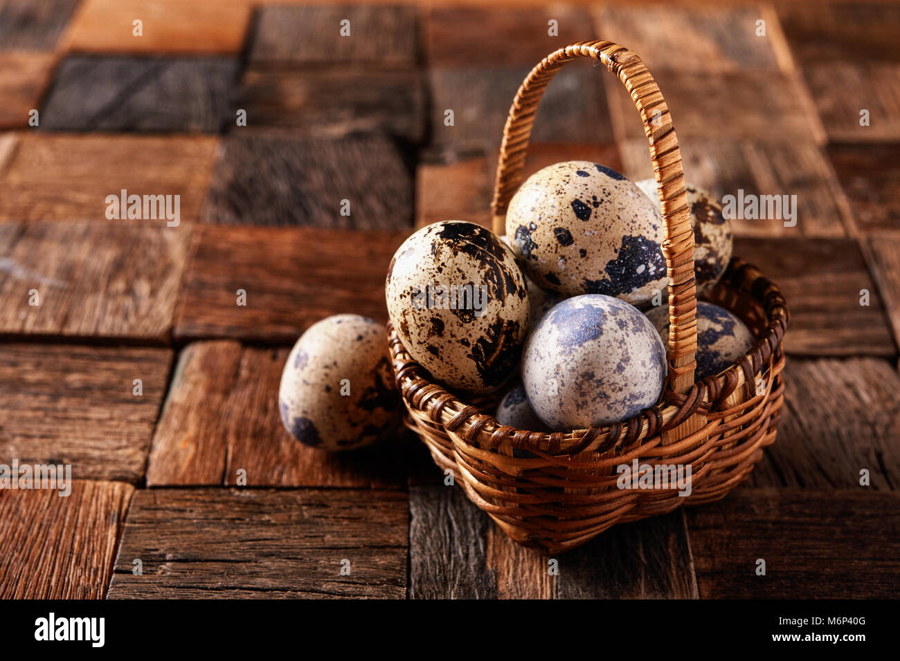 Quil eggs hi-res stock photography and images - Alamy