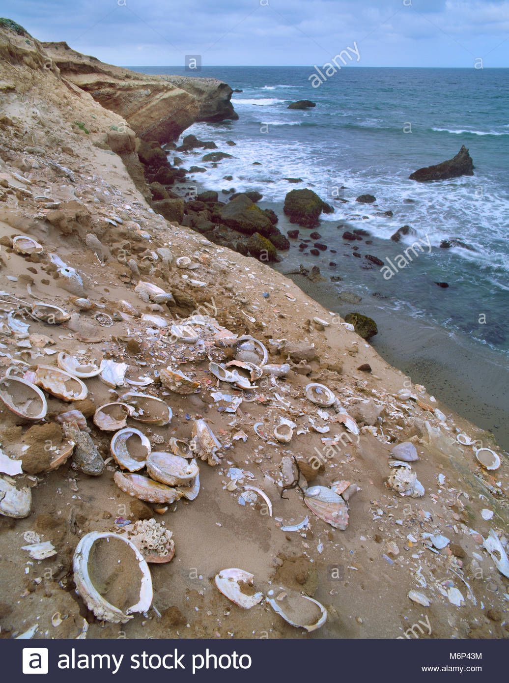 The Carrington High Resolution Stock Photography and Images - Alamy