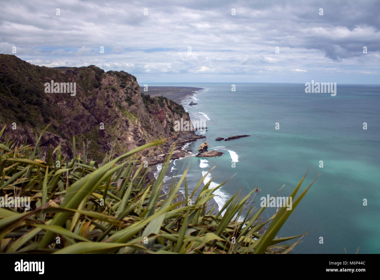 New Zealand North Island Coast Stock Photo - Alamy