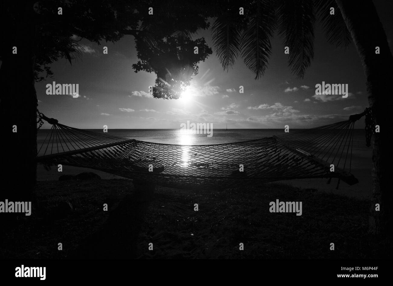 Hammock. Lifuka island. Ha´apai islands. Tonga. Polynesia Stock Photo ...
