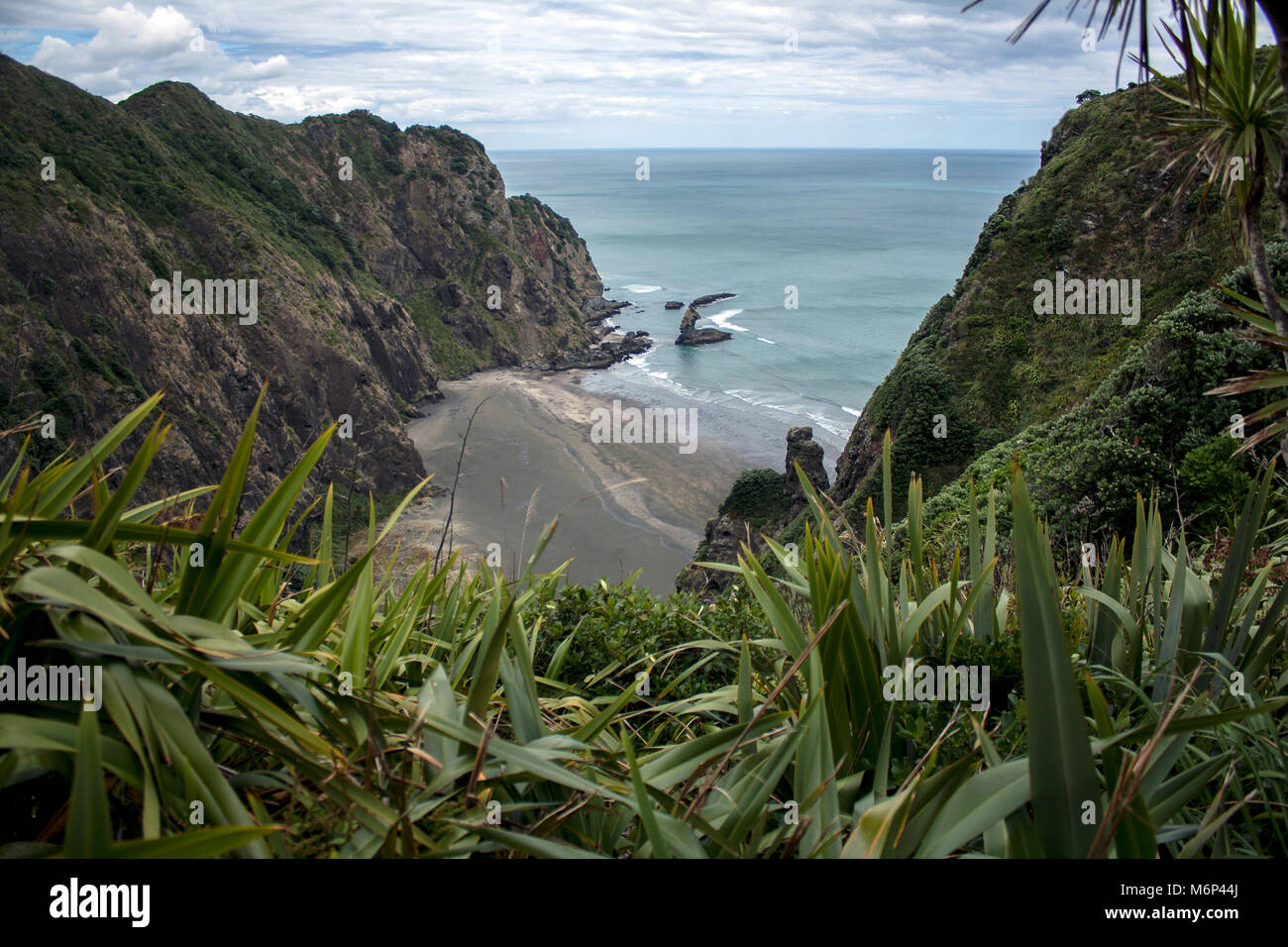 New Zealand North Island Coast Stock Photo - Alamy