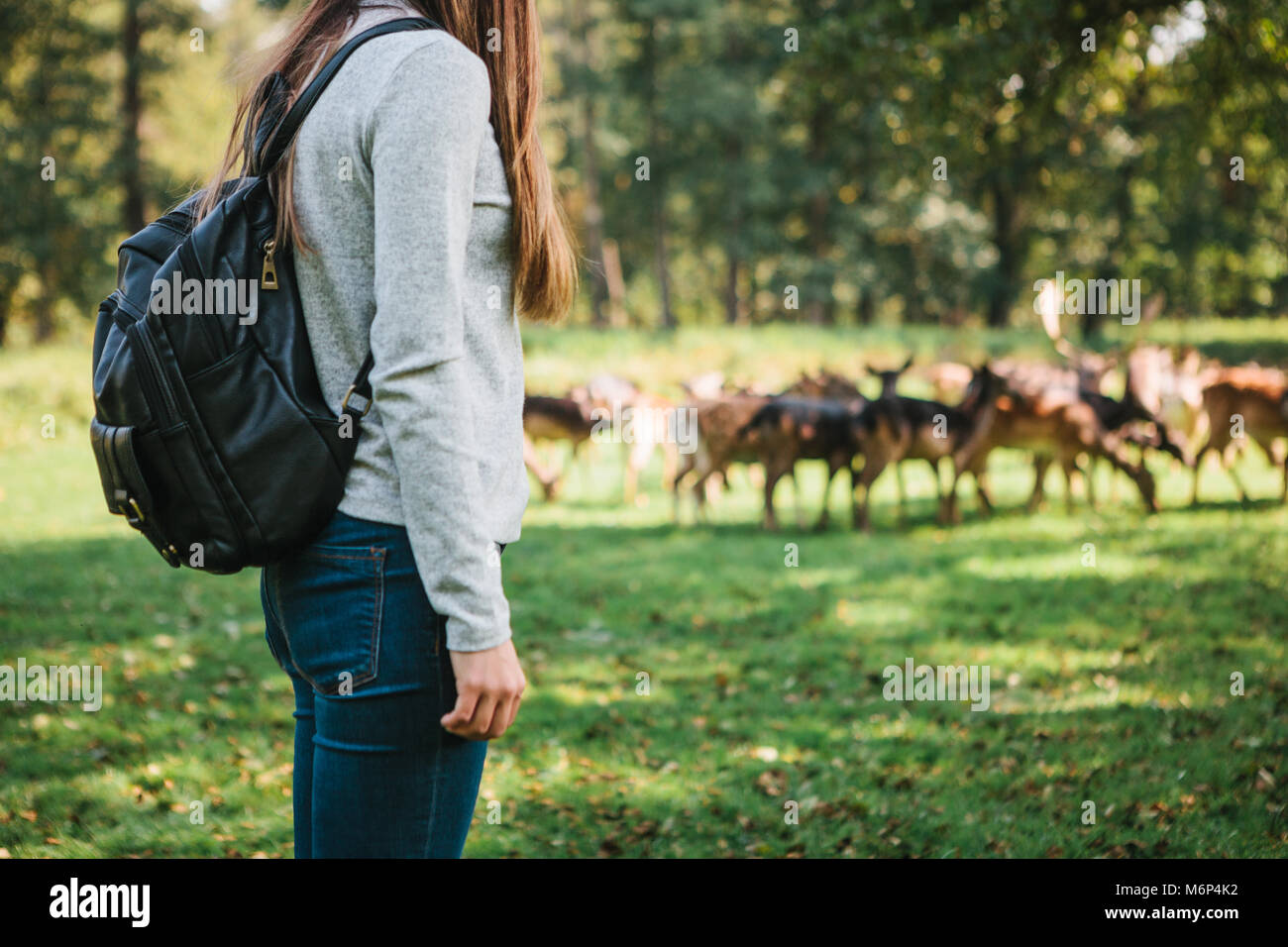 Young beautiful travel girl with backpack looking at wild reindeer ...