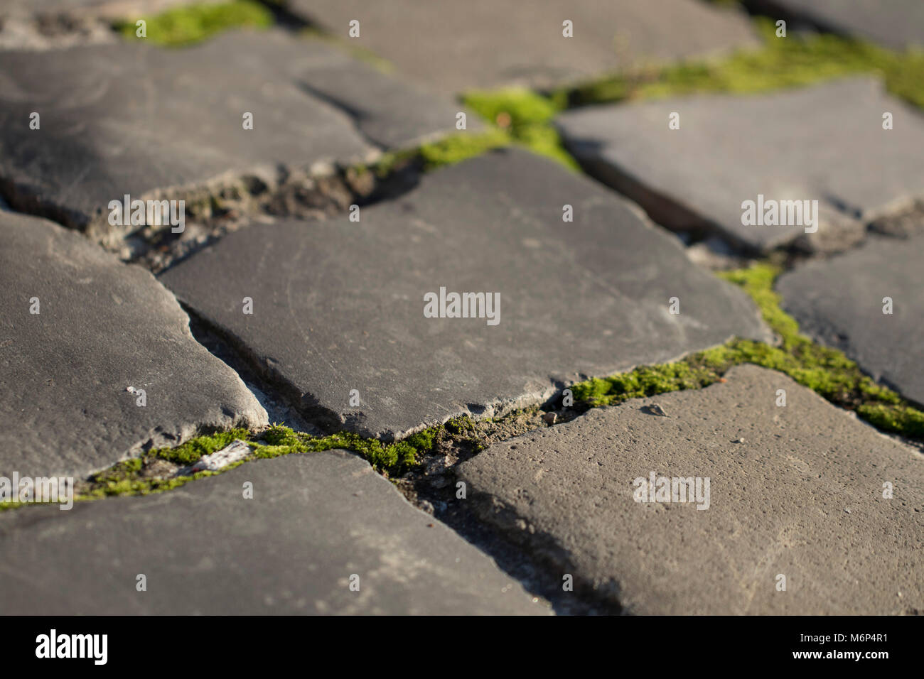 road texture with stone masonry and moss Stock Photo - Alamy