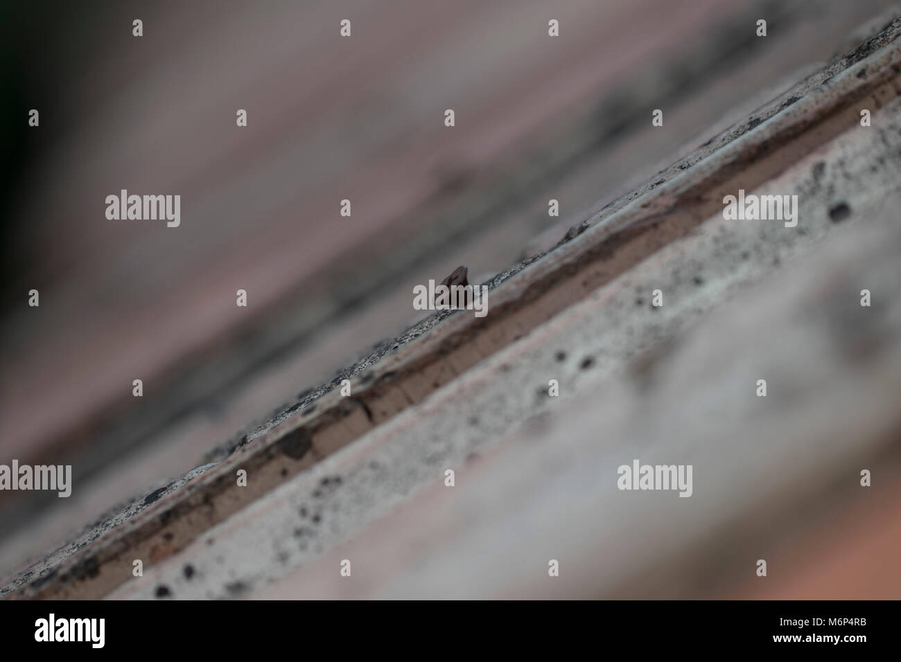 stone wall structure with special masonry stones Stock Photo - Alamy