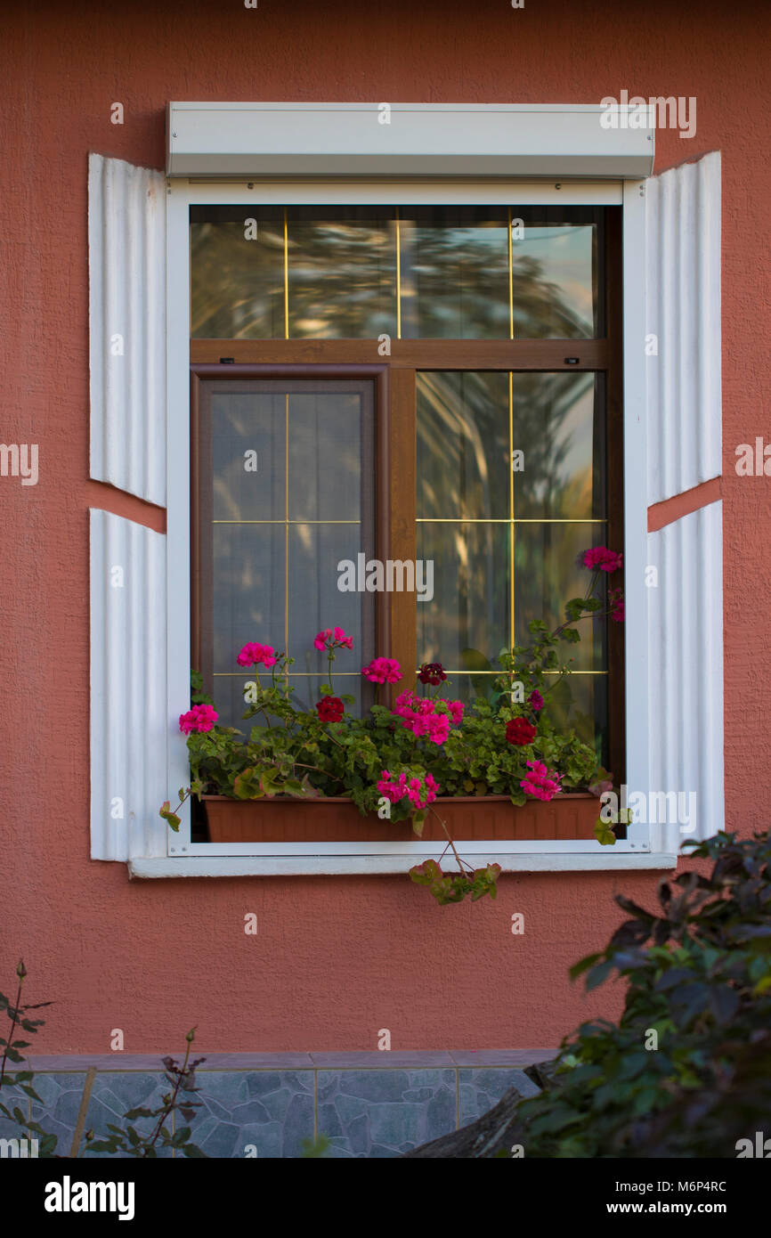Beautiful window with flower Stock Photo - Alamy