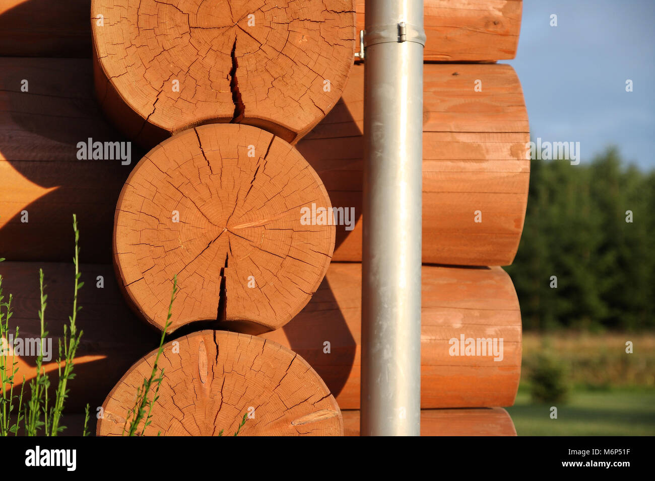 Close-up view of a wooden loghouse at sunset time Stock Photo - Alamy