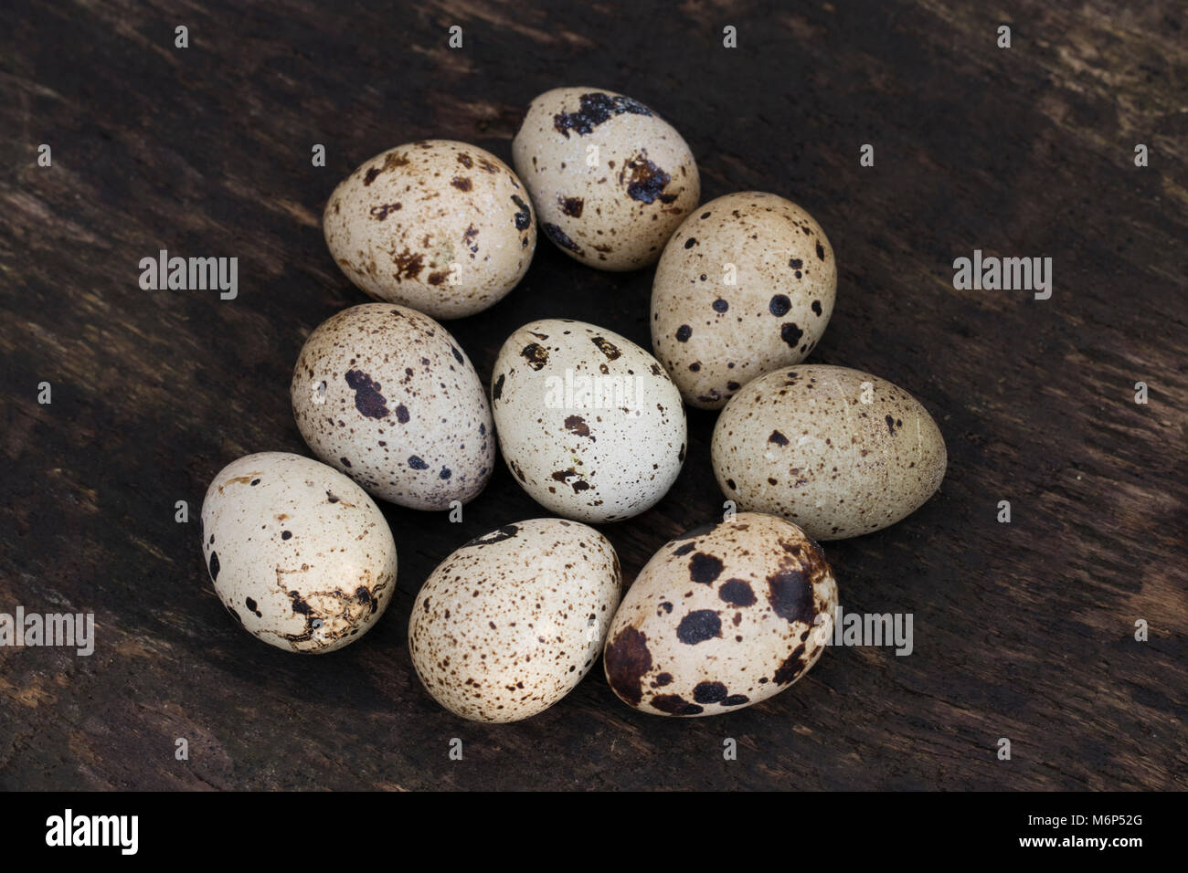 quail eggs on a wooden texture as background Stock Photo - Alamy