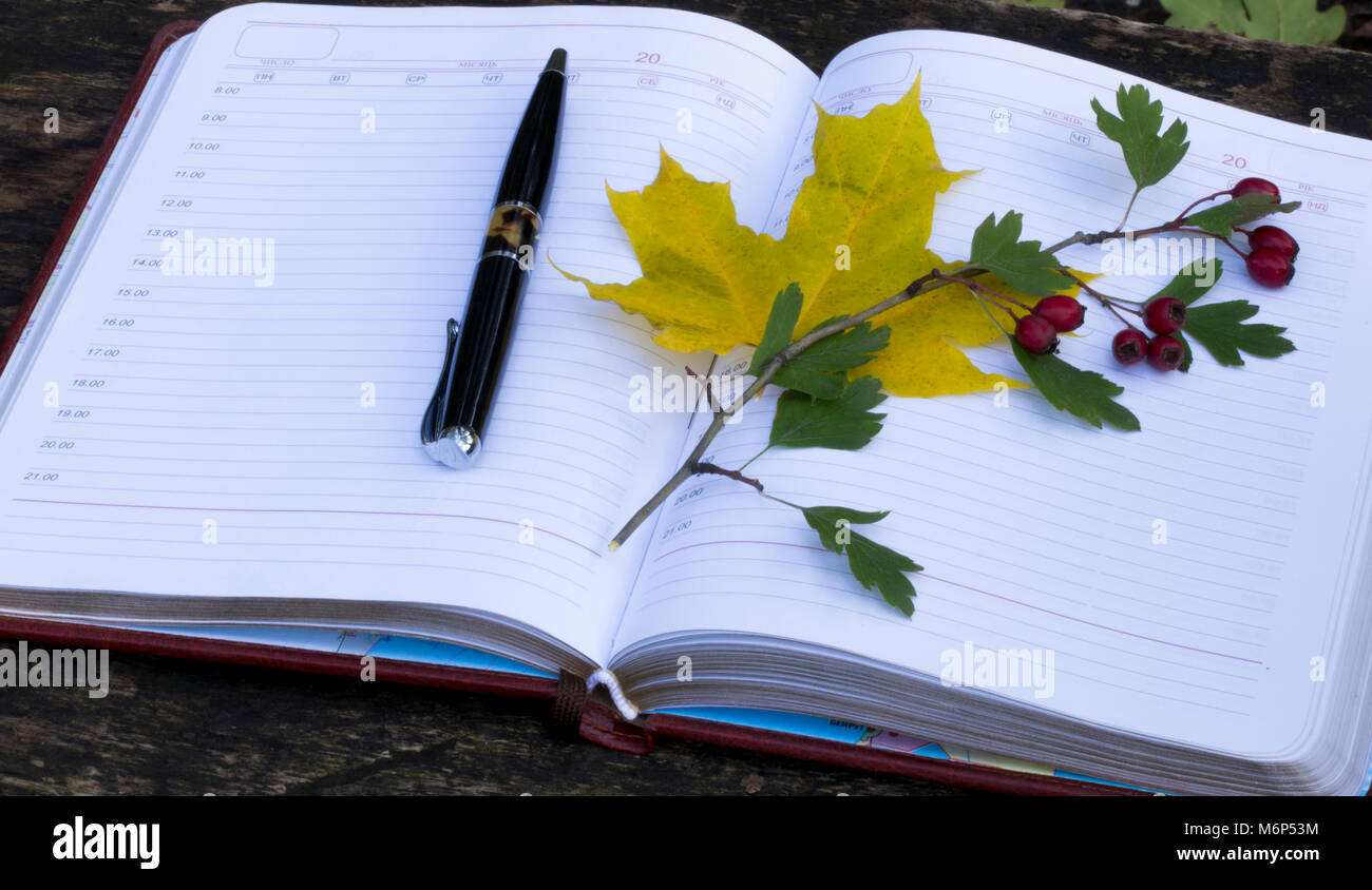 autumn. Notebook with yellow leaves and red berries . top view Stock ...