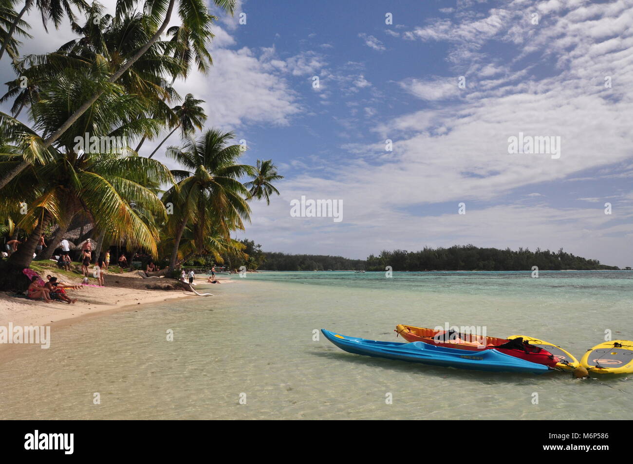 Moorea lagoon rays hi-res stock photography and images - Alamy