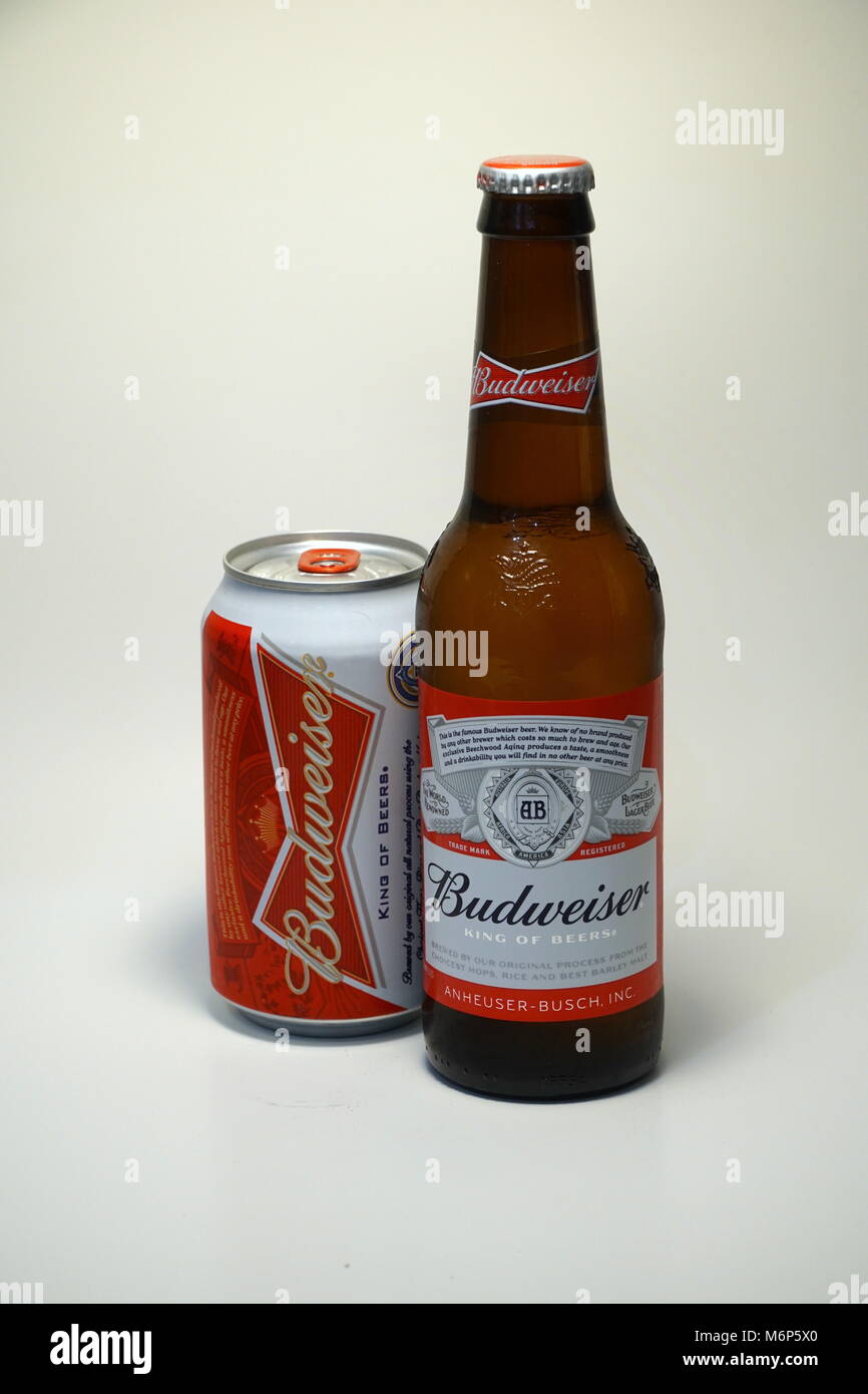 Budweiser beer can bottle duo. American style pale lager alcoholic ...