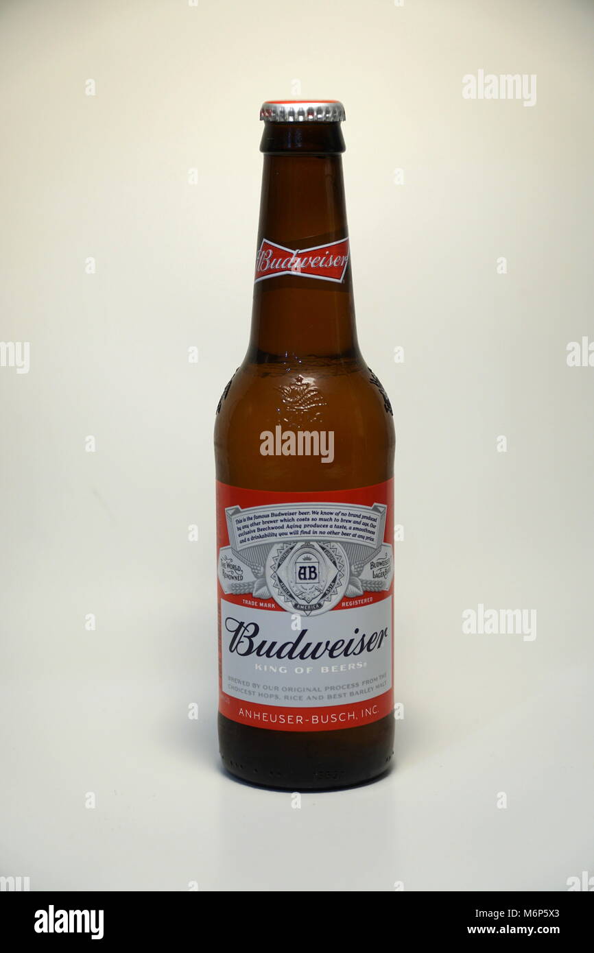 Budweiser beer bottle. American style pale lager alcoholic beverage ...