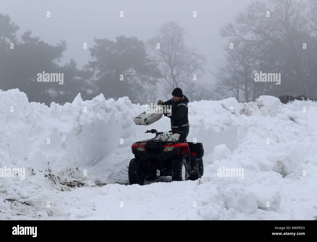 Farmer Peter Laidlaw from Craigannet Farm in the Carron Valley near ...