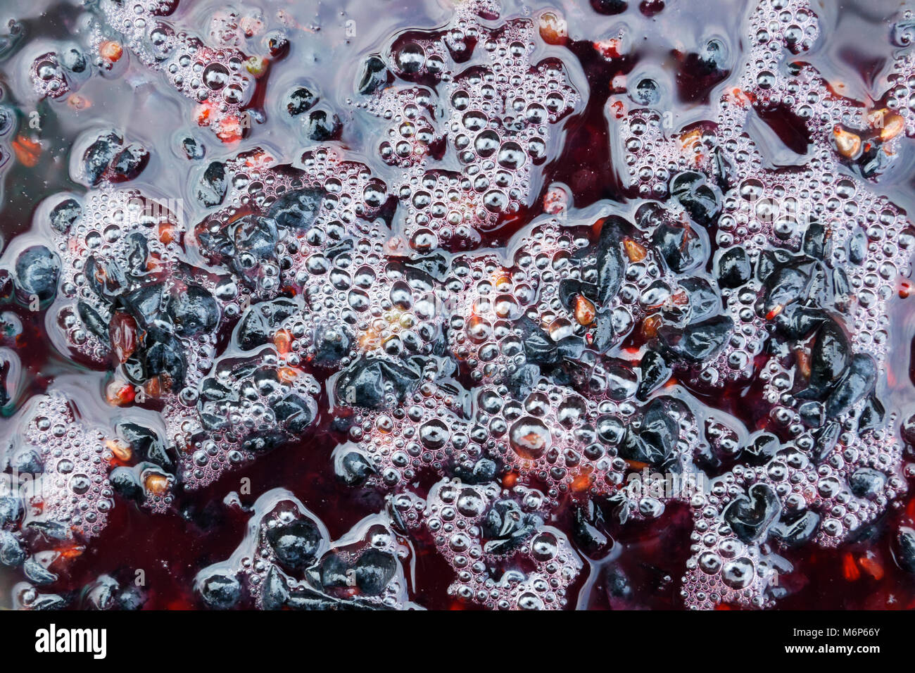 Home winemaking. Fermentation of grape must for wine Stock Photo - Alamy