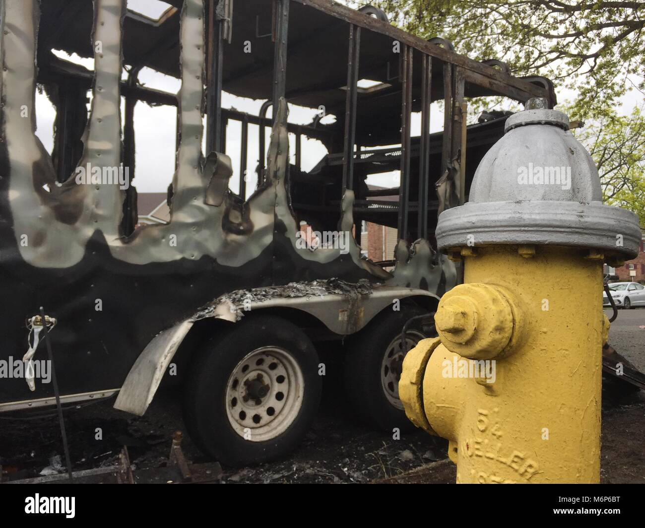 Destroyed landscaping truck sits burned next to a yellow fire hydrant ...