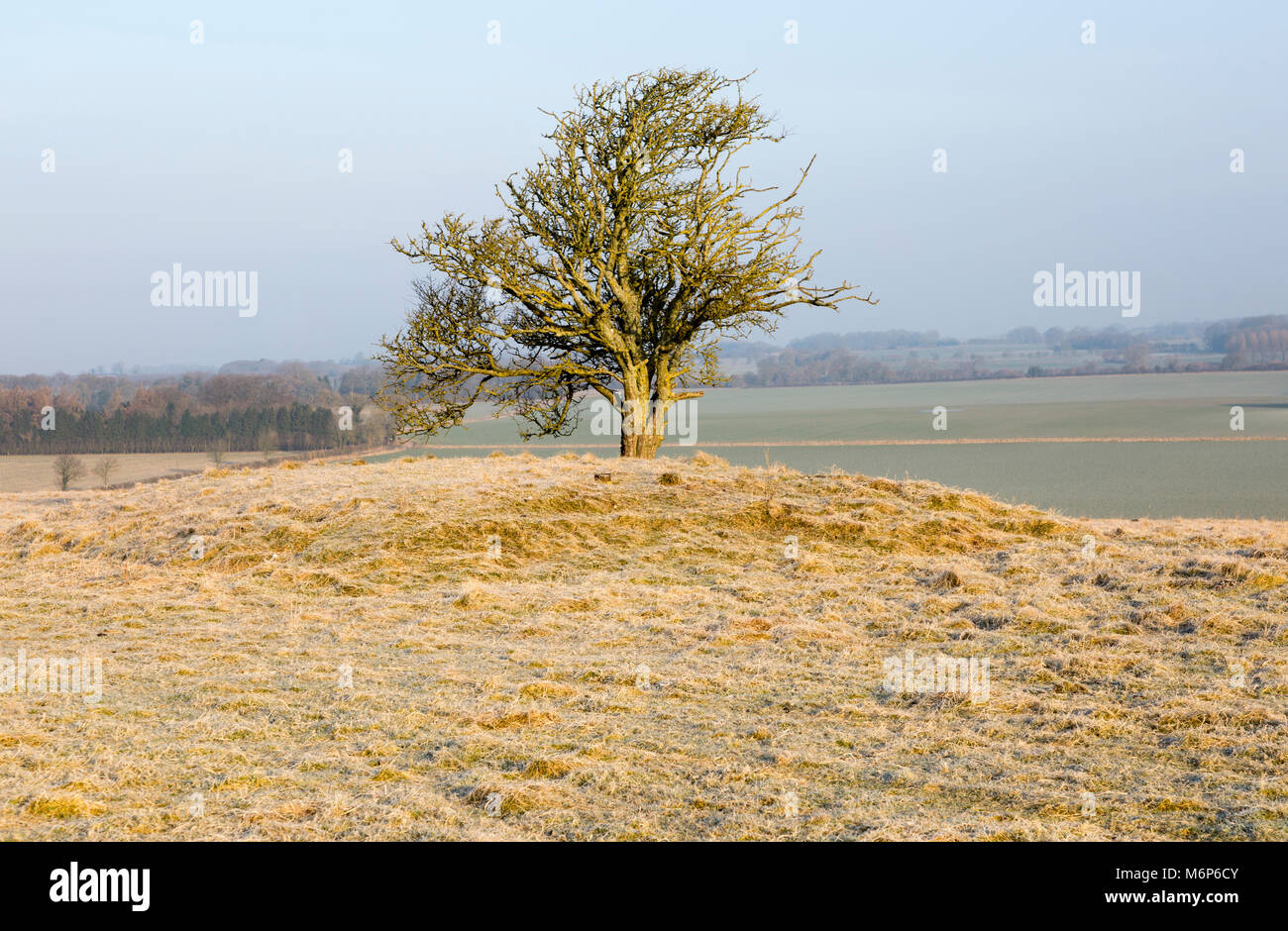 Bronze age bowl barrow hi-res stock photography and images - Alamy