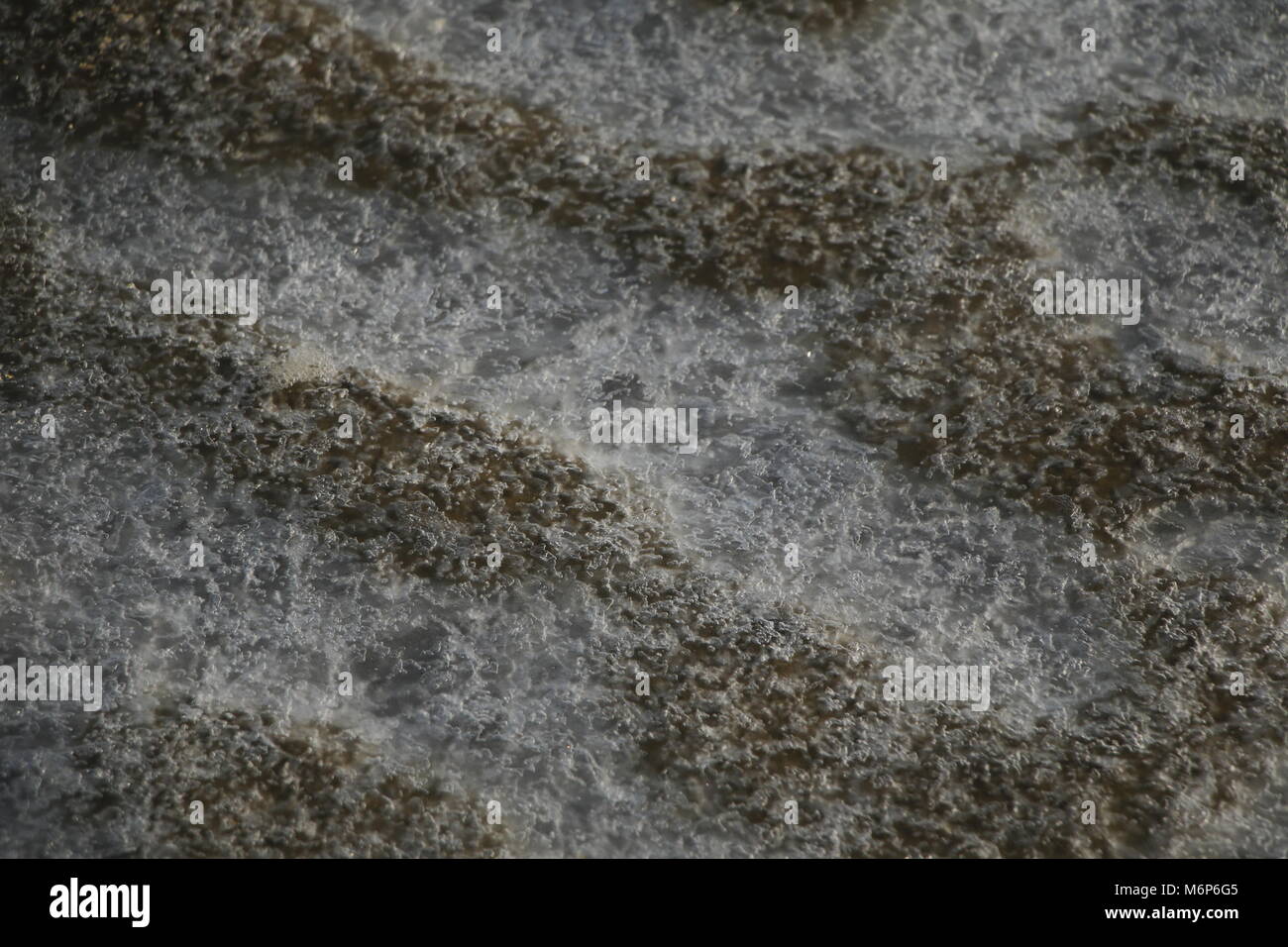 Frozen foam at the beach Stock Photo - Alamy